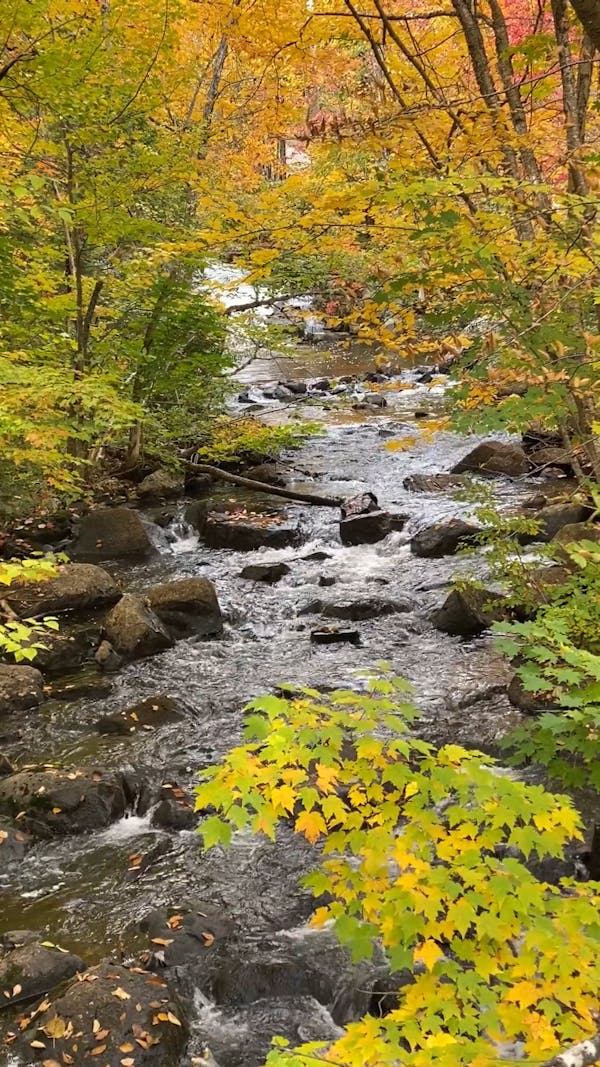Nature In Fall Videos, Download Free 4k Stock Video Footage & Nature In ...