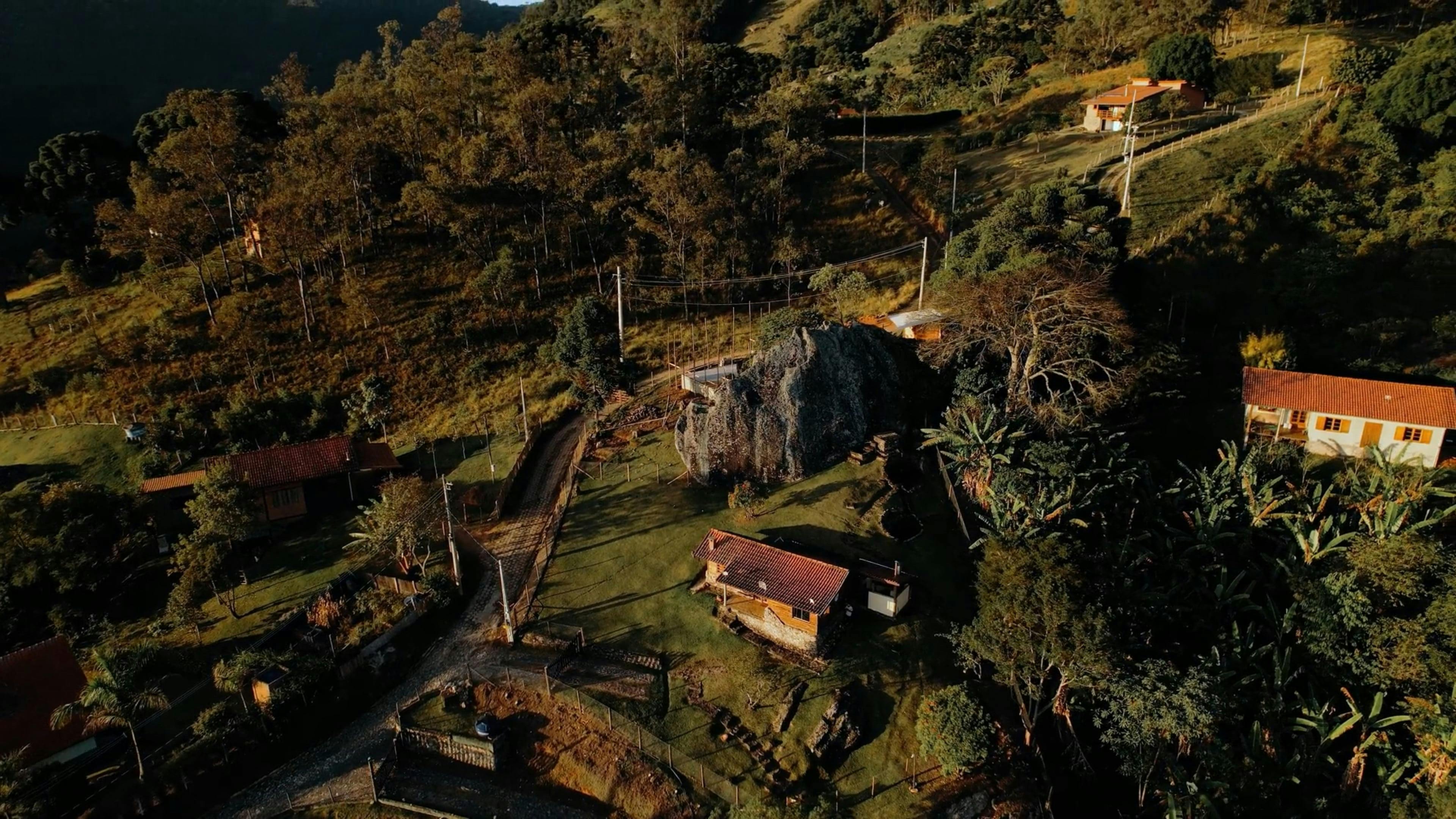 Monte Verde Videos, Download The BEST Free 4k Stock Video Footage ...