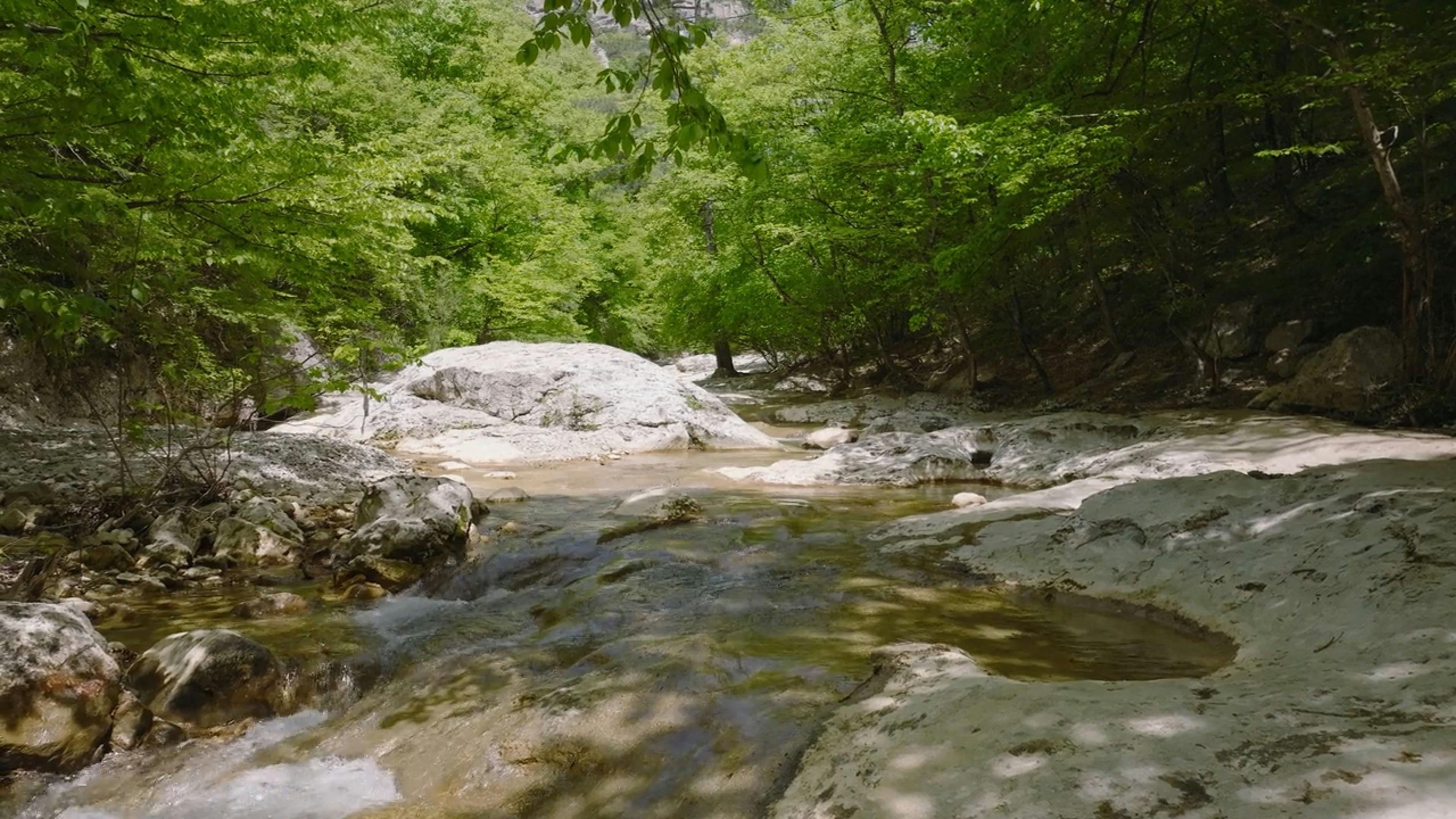Flowing Water in Stream in Forest Free Stock Video Footage, Royalty ...