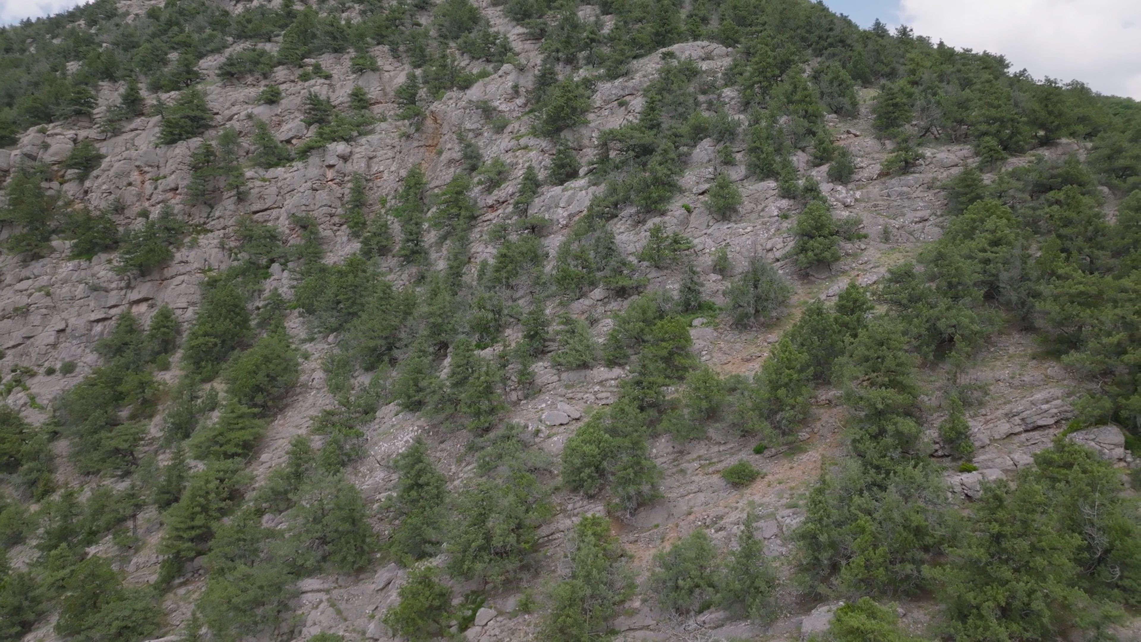 Vegetation on Mountainside Free Stock Video Footage, Royalty-Free 4K ...