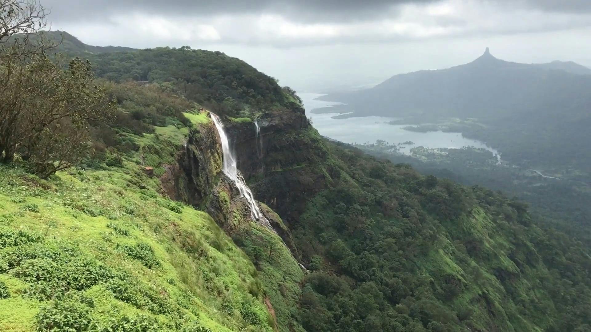 Amazing View Of Nature · Free Stock Video