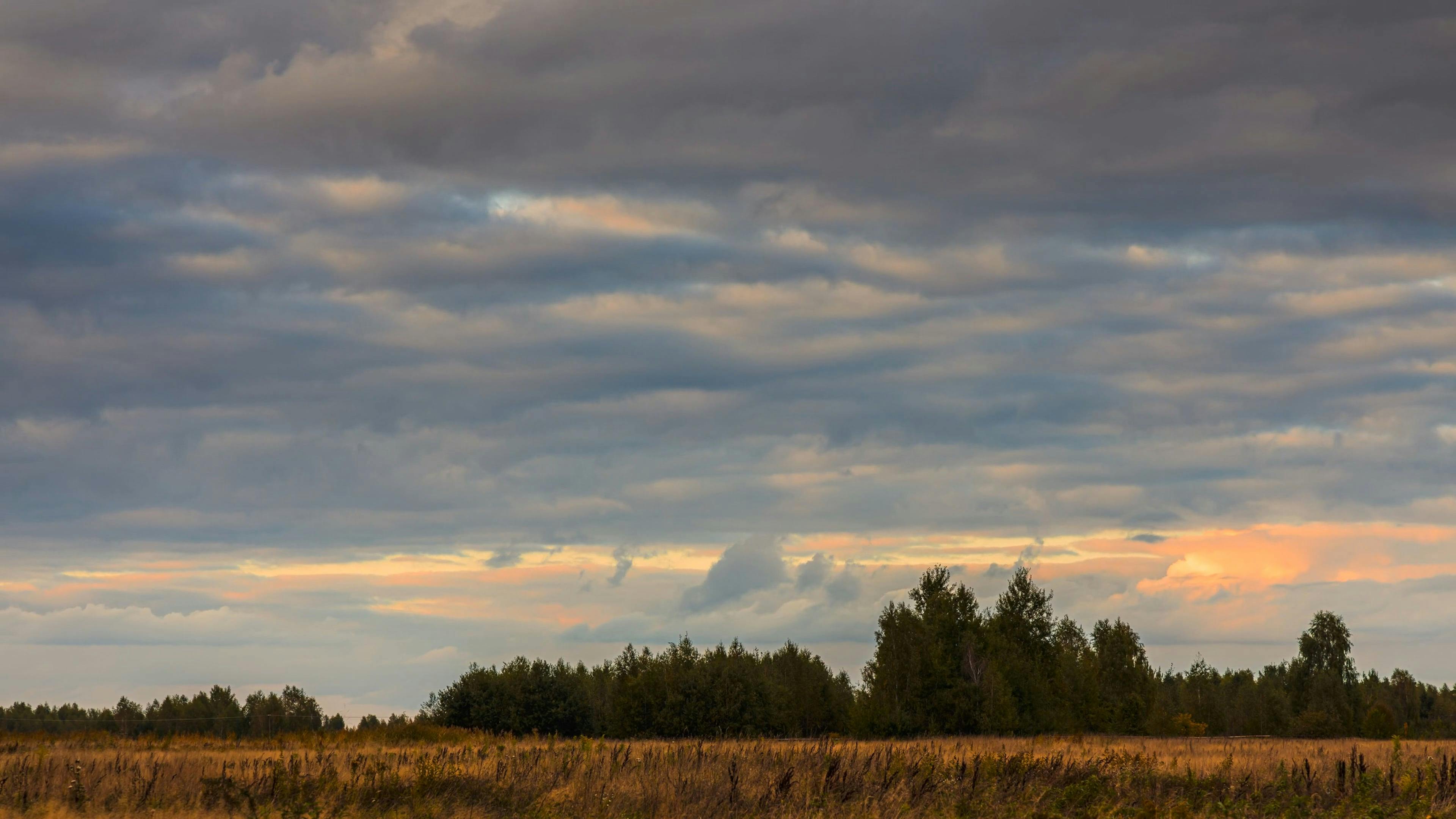 Sky over Field Free Stock Video Footage, Royalty-Free 4K & HD Video Clip