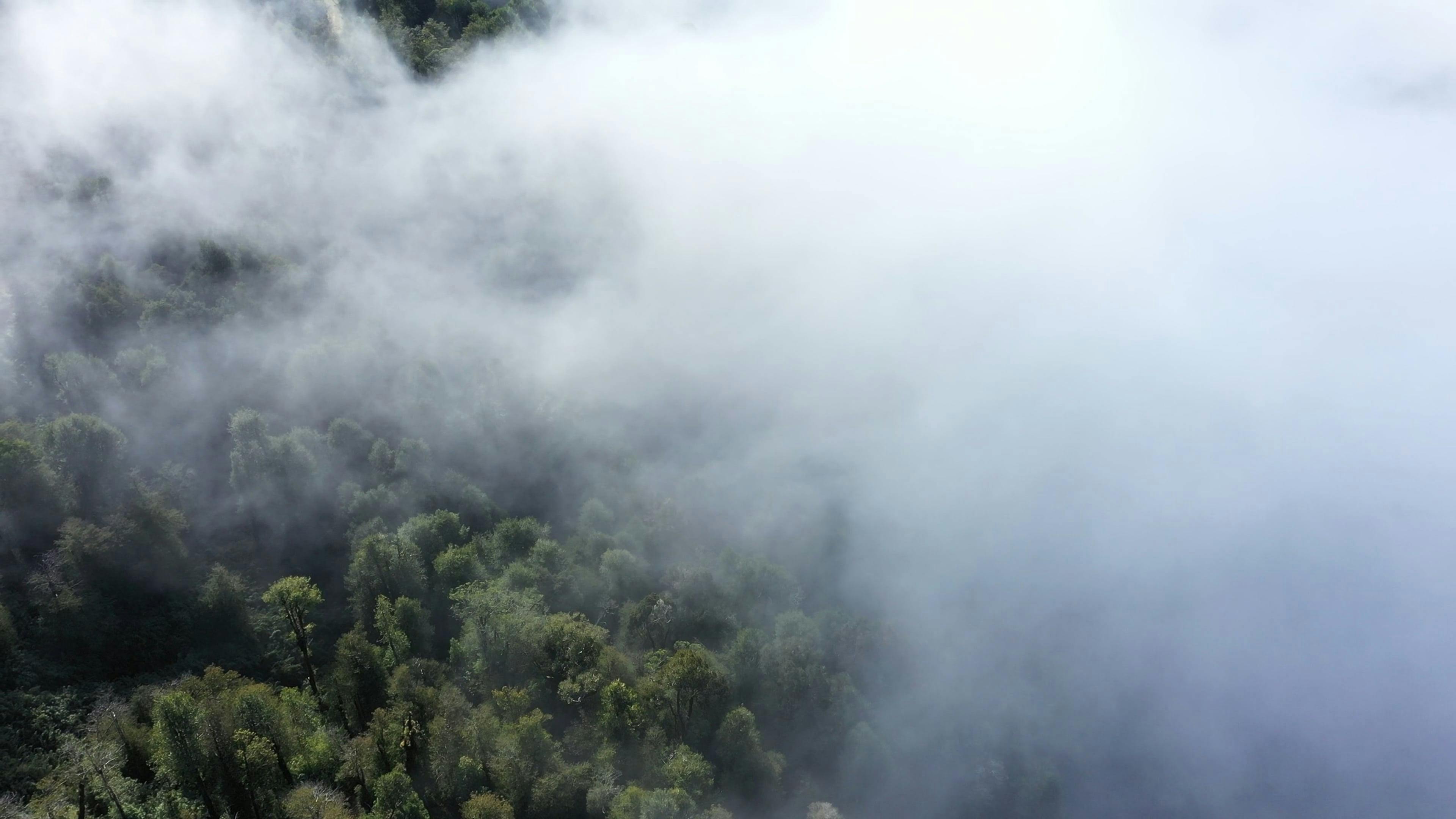 Clouds over Forest Free Stock Video Footage, Royalty-Free 4K & HD Video ...