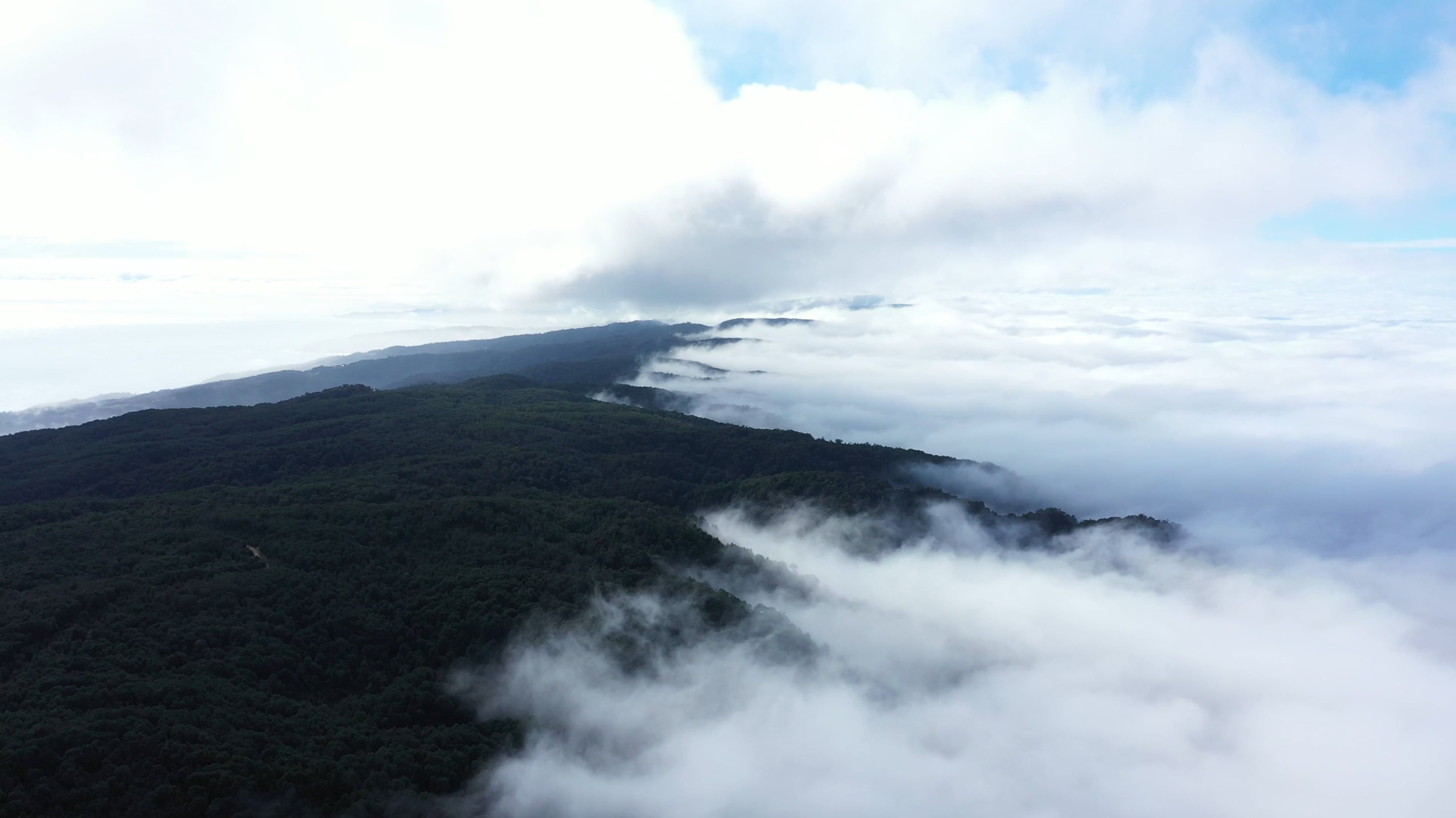 Clouds over Forest Free Stock Video Footage, Royalty-Free 4K & HD Video ...