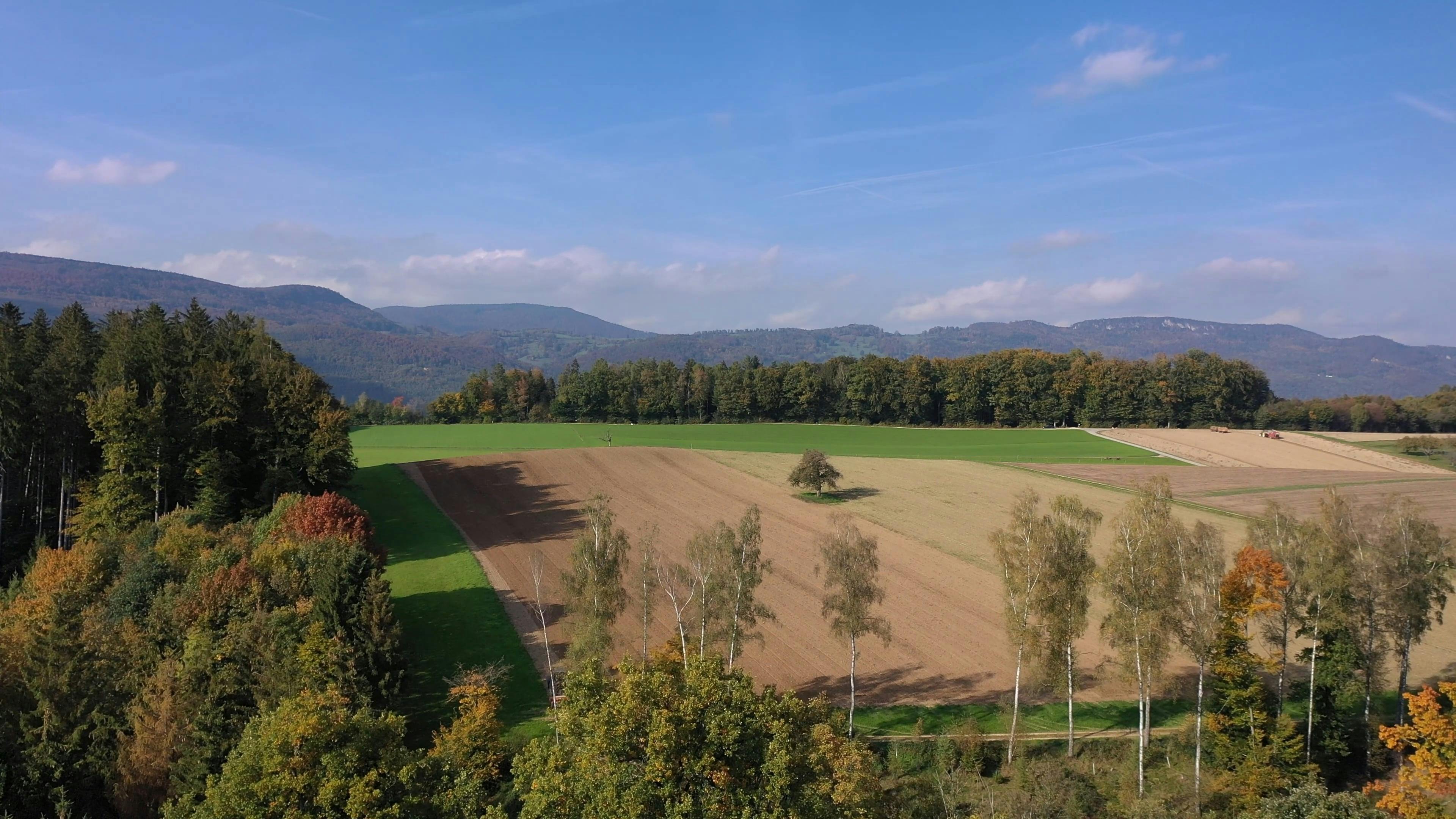 Drone Footage of a Farm Field and Trees Free Stock Video Footage ...