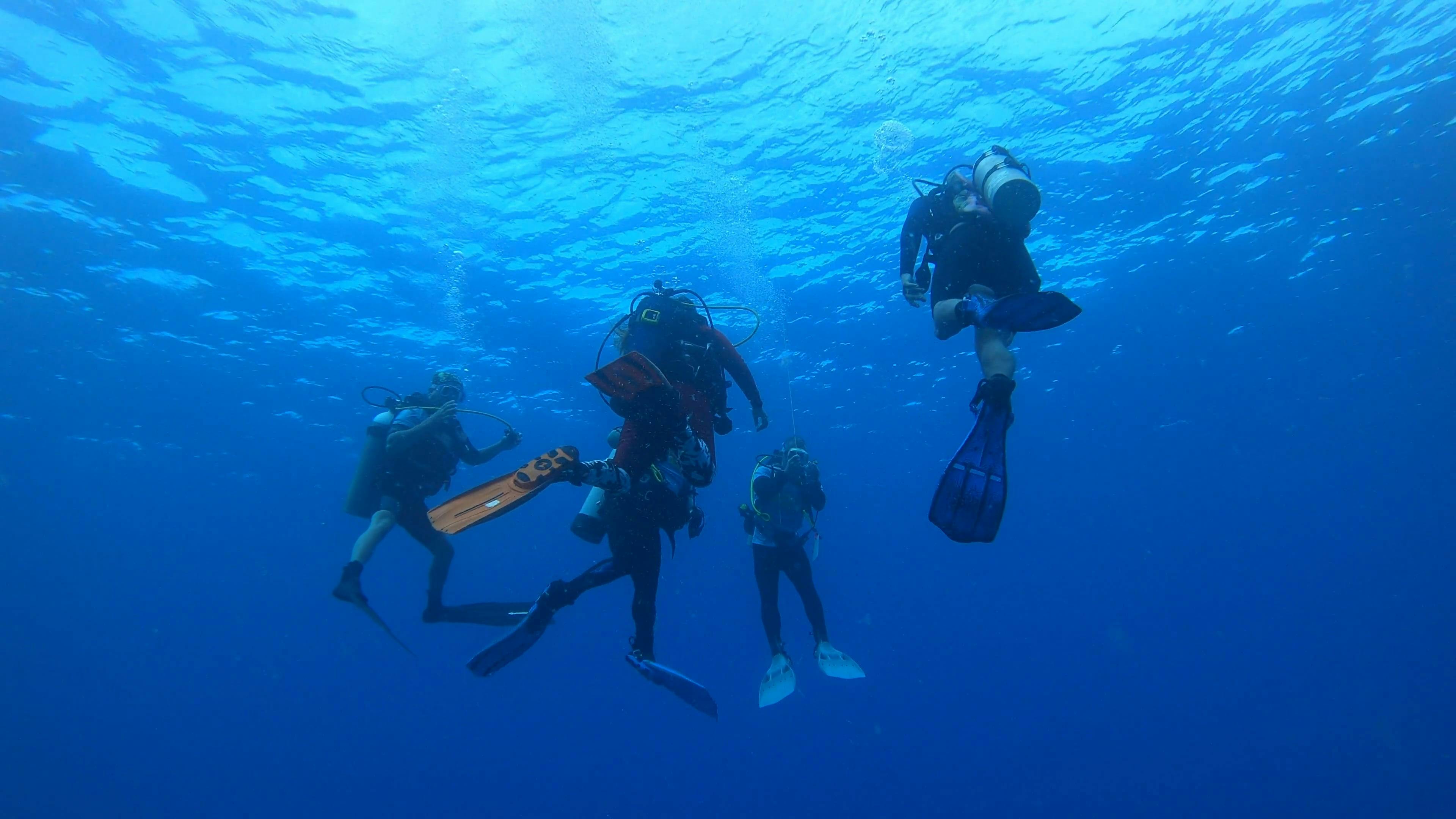 People Scuba Diving Free Stock Video Footage, Royalty-Free 4K & HD ...