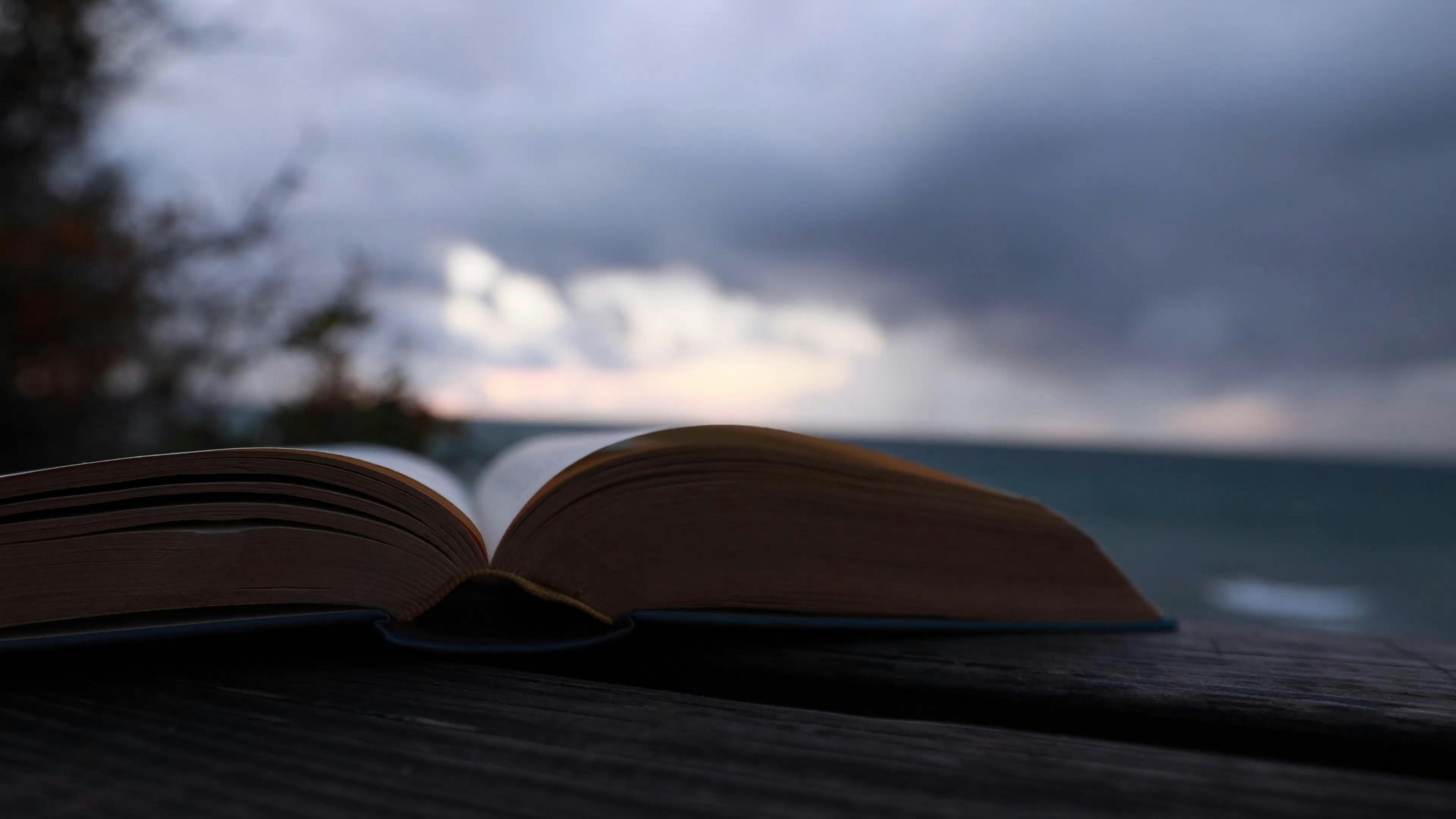 Open Book on Ground Free Stock Video Footage, Royalty-Free 4K & HD ...