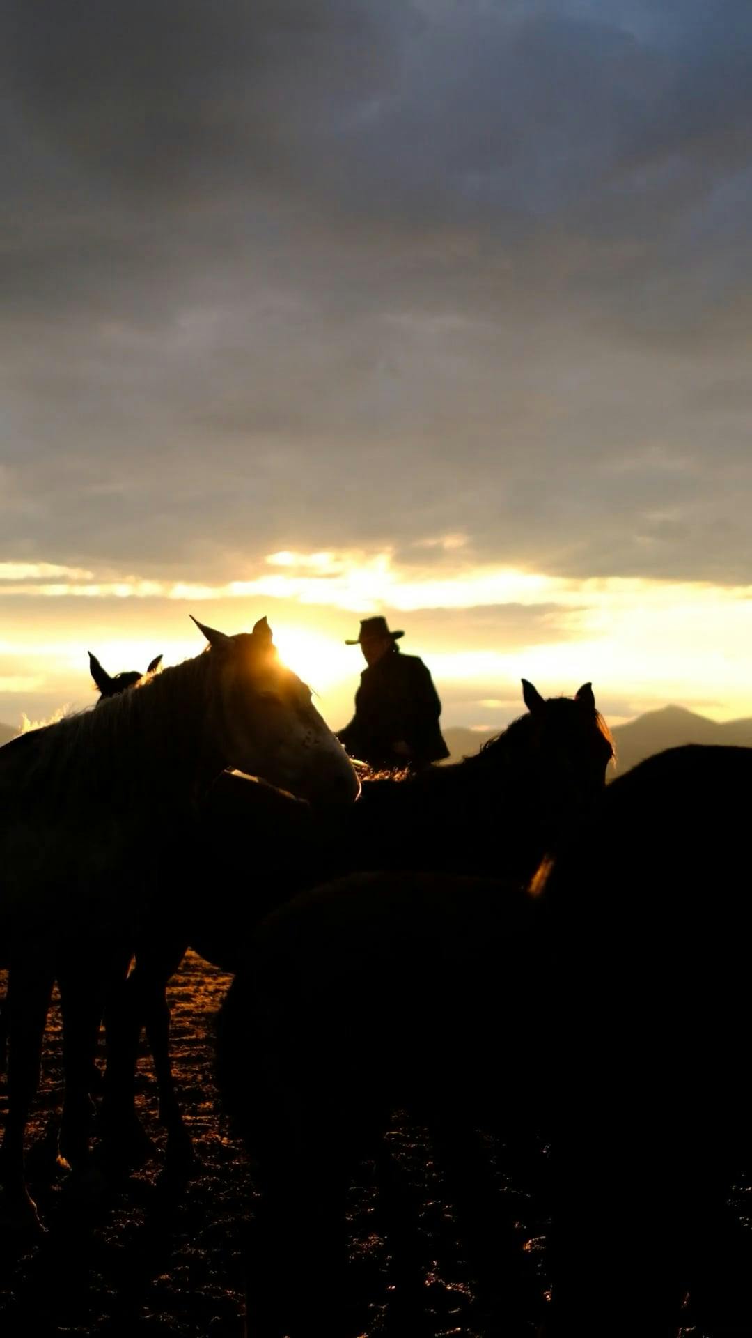 Vidéo gratuite de agriculture, art de la silhouette, aube, aventure, beauté naturelle, berger ...