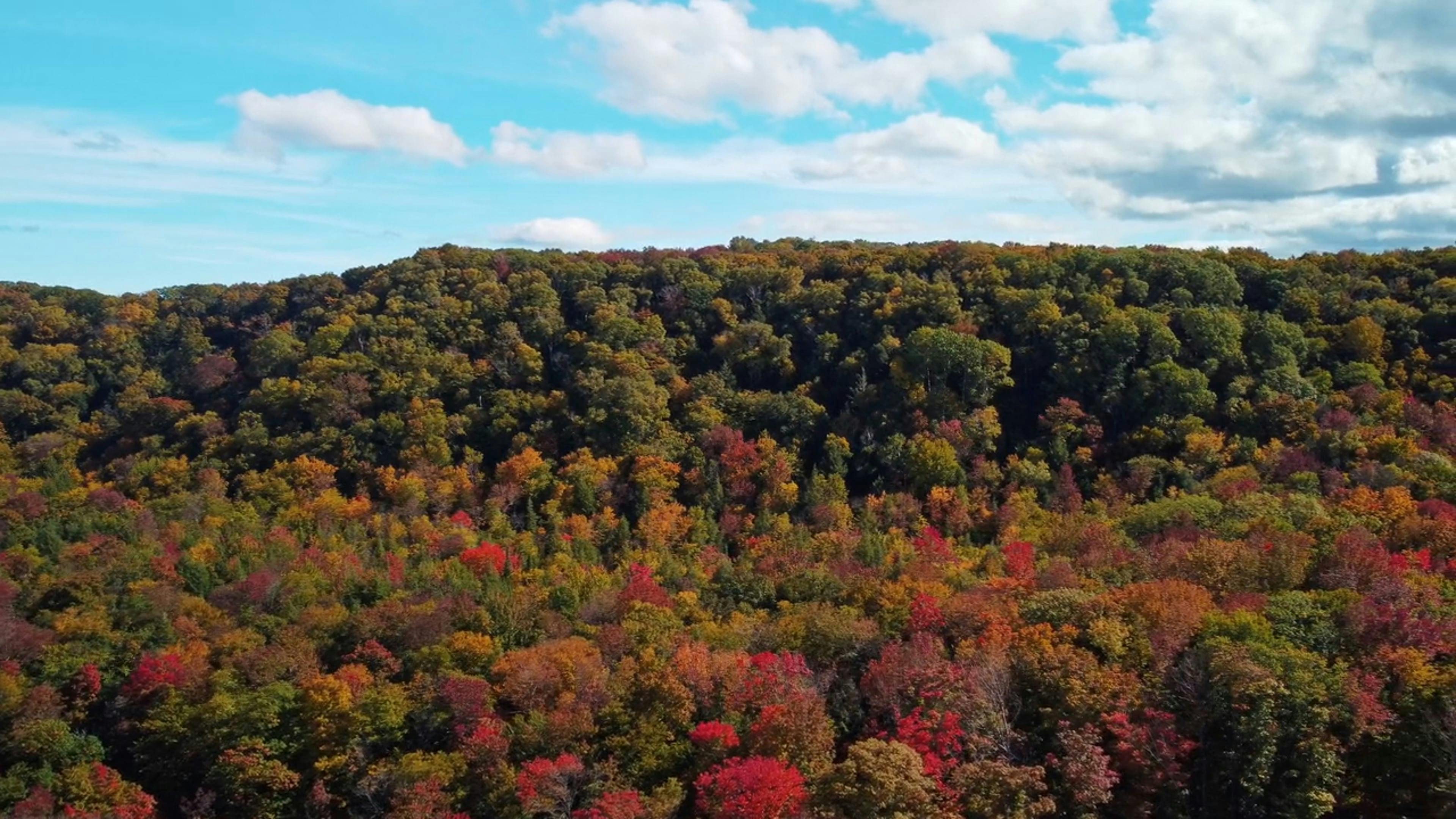 Drone View Of Autumn Colors Free Stock Video Footage, Royalty-Free 4K ...