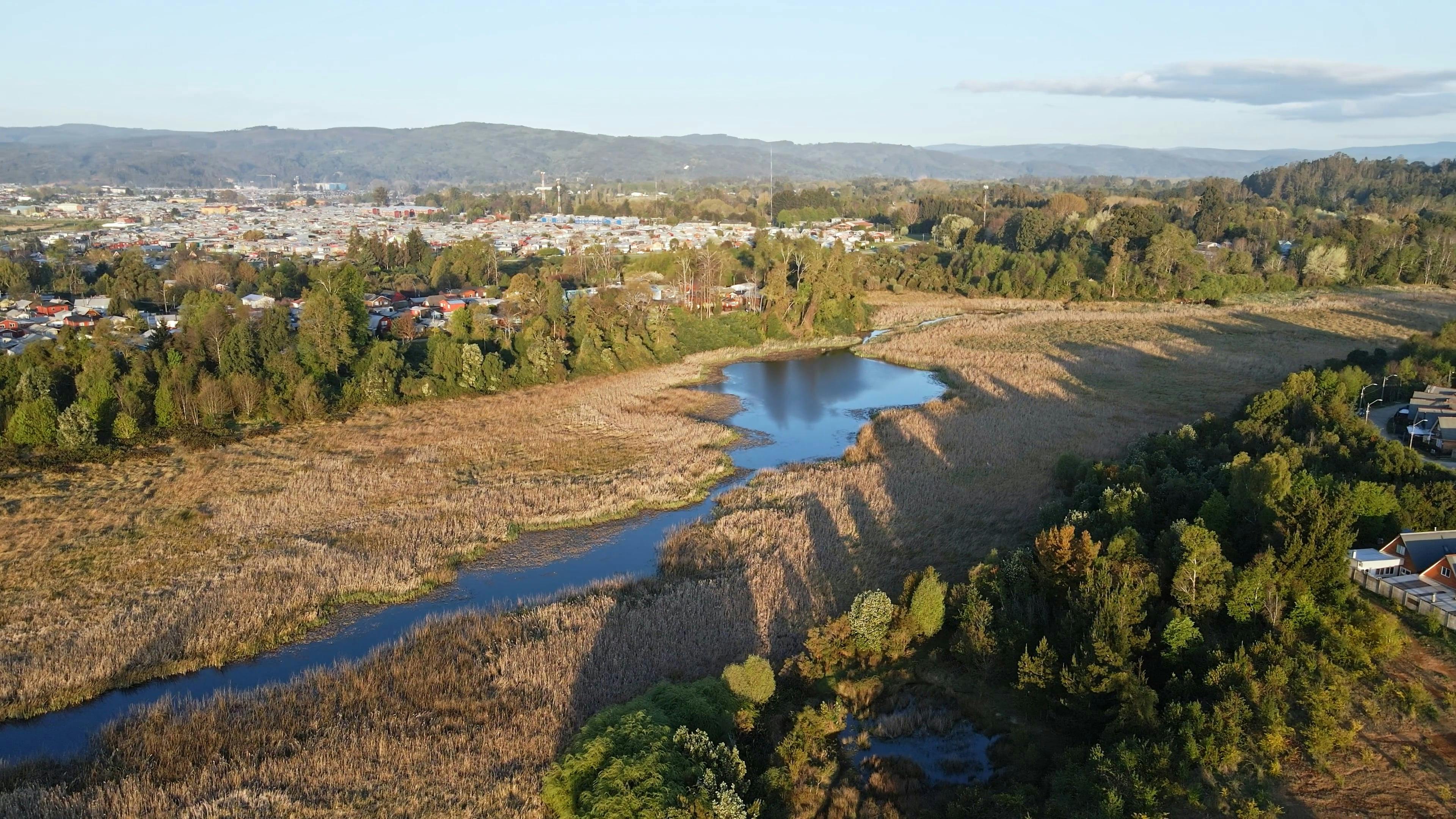 Swamp in Town Free Stock Video Footage, Royalty-Free 4K & HD Video Clip