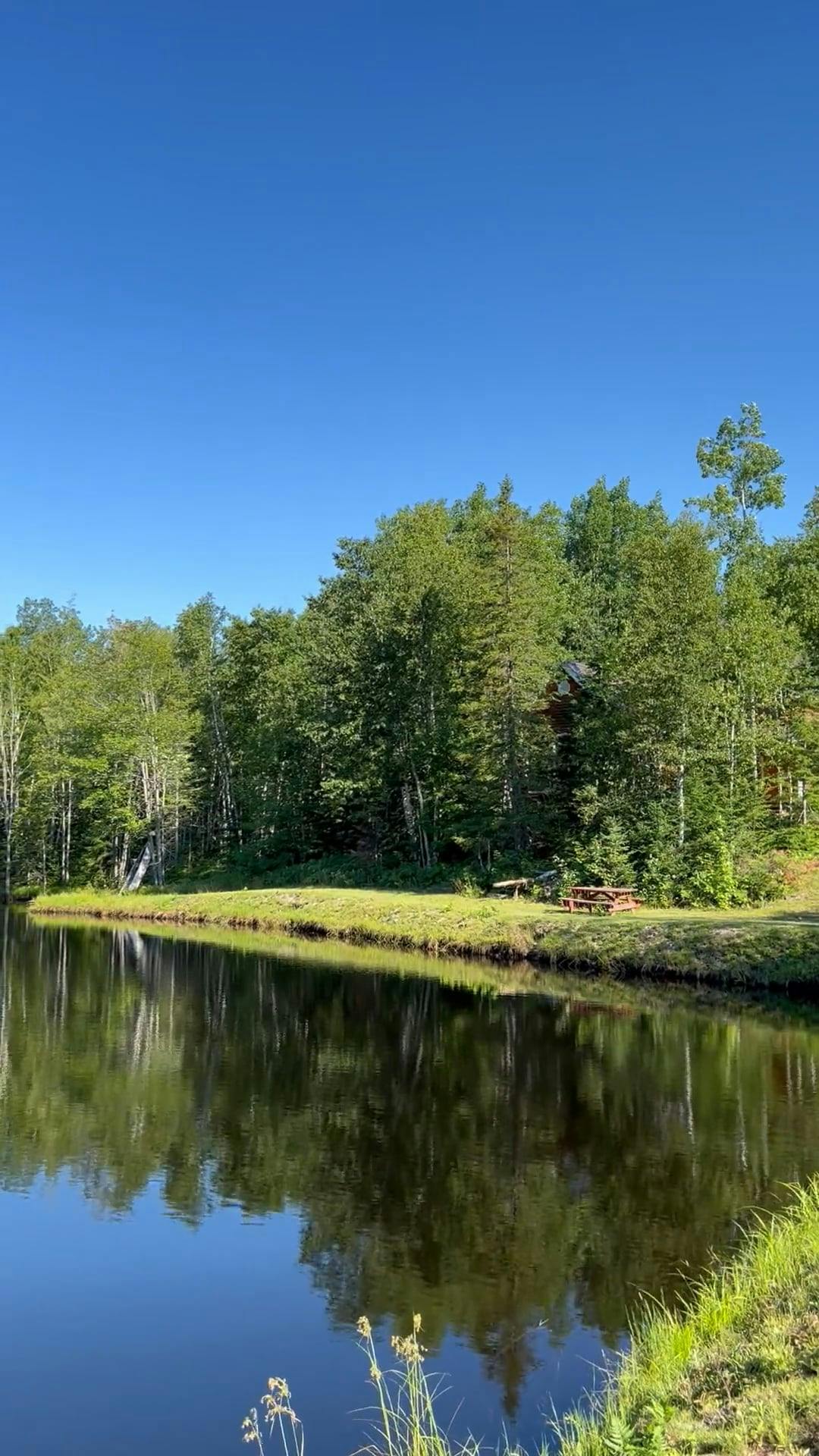 Walking Near The Lake Free Stock Video Footage, Royalty-Free 4K & HD ...