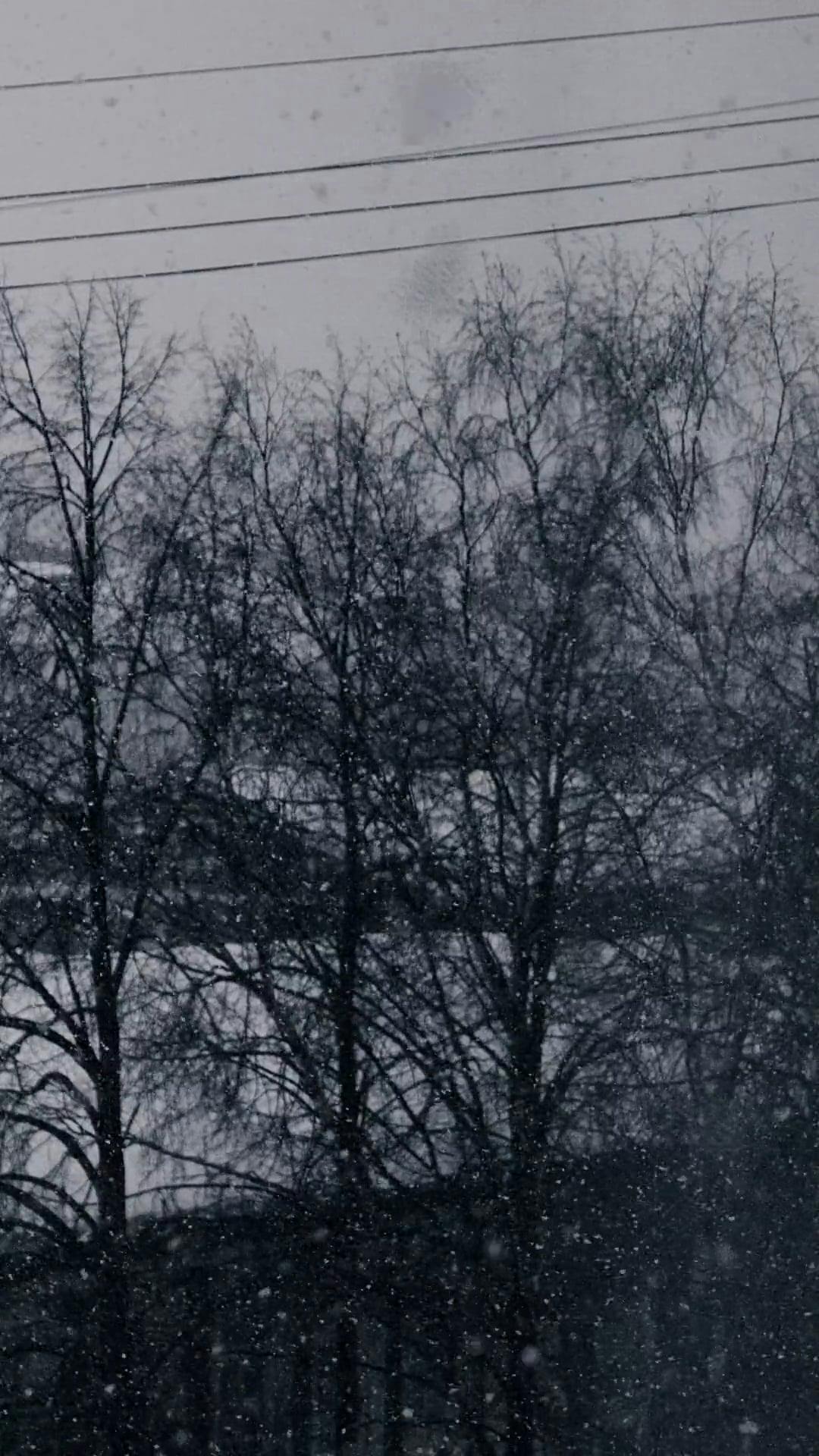 Video Of Snowfall Free Stock Video Footage, Royalty-Free 4K & HD Video Clip