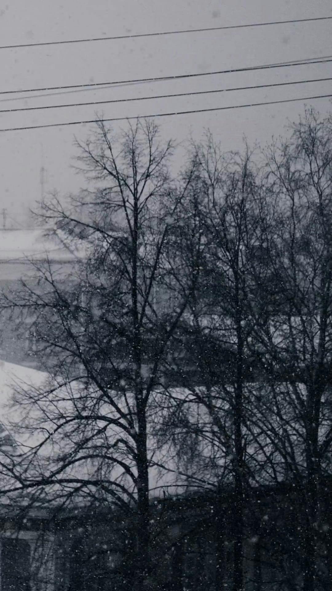 Video Of Snow Falling Free Stock Video Footage, Royalty-Free 4K & HD ...