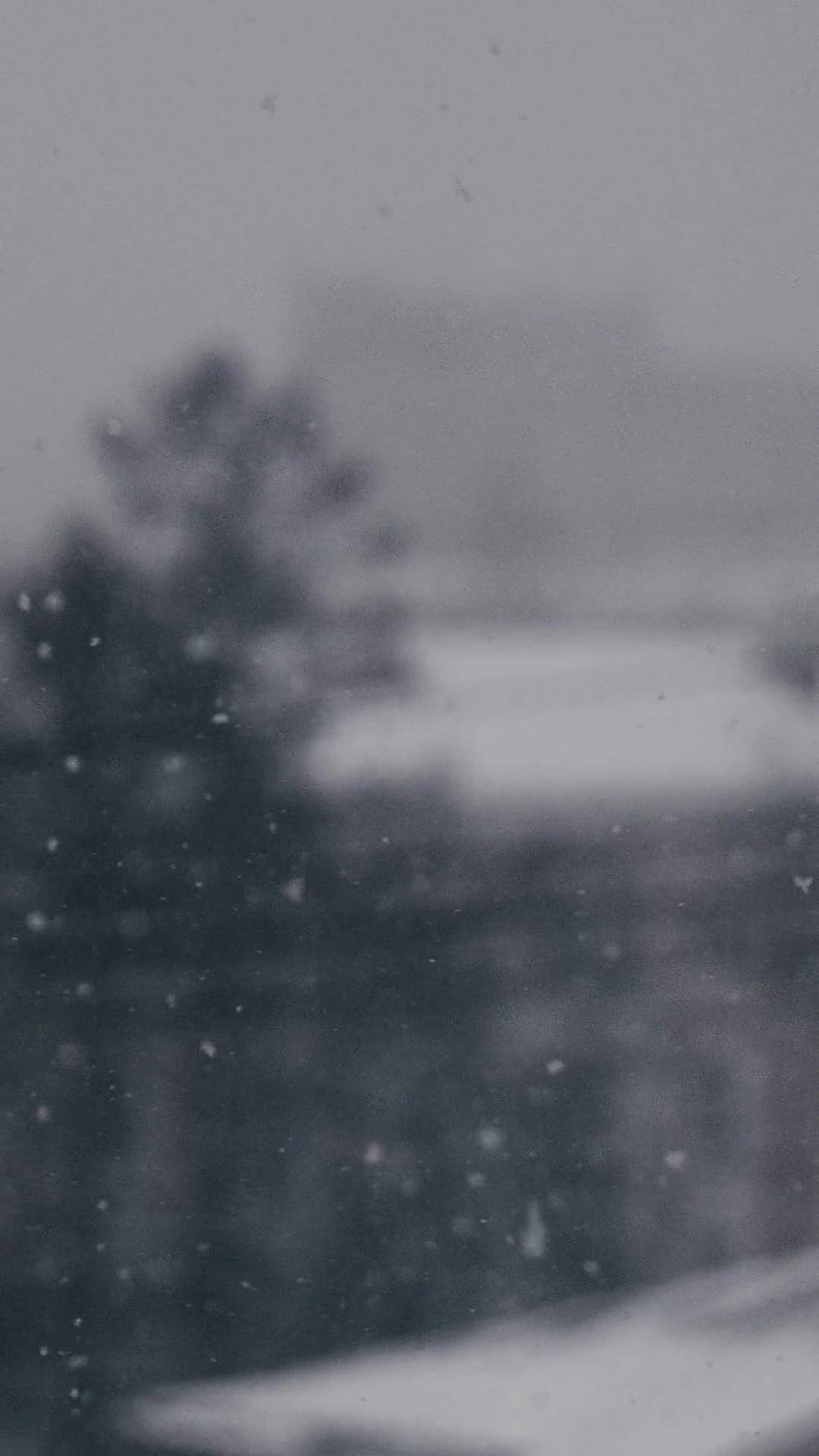 Snowfall in the Woods Free Stock Video Footage, Royalty-Free 4K & HD ...