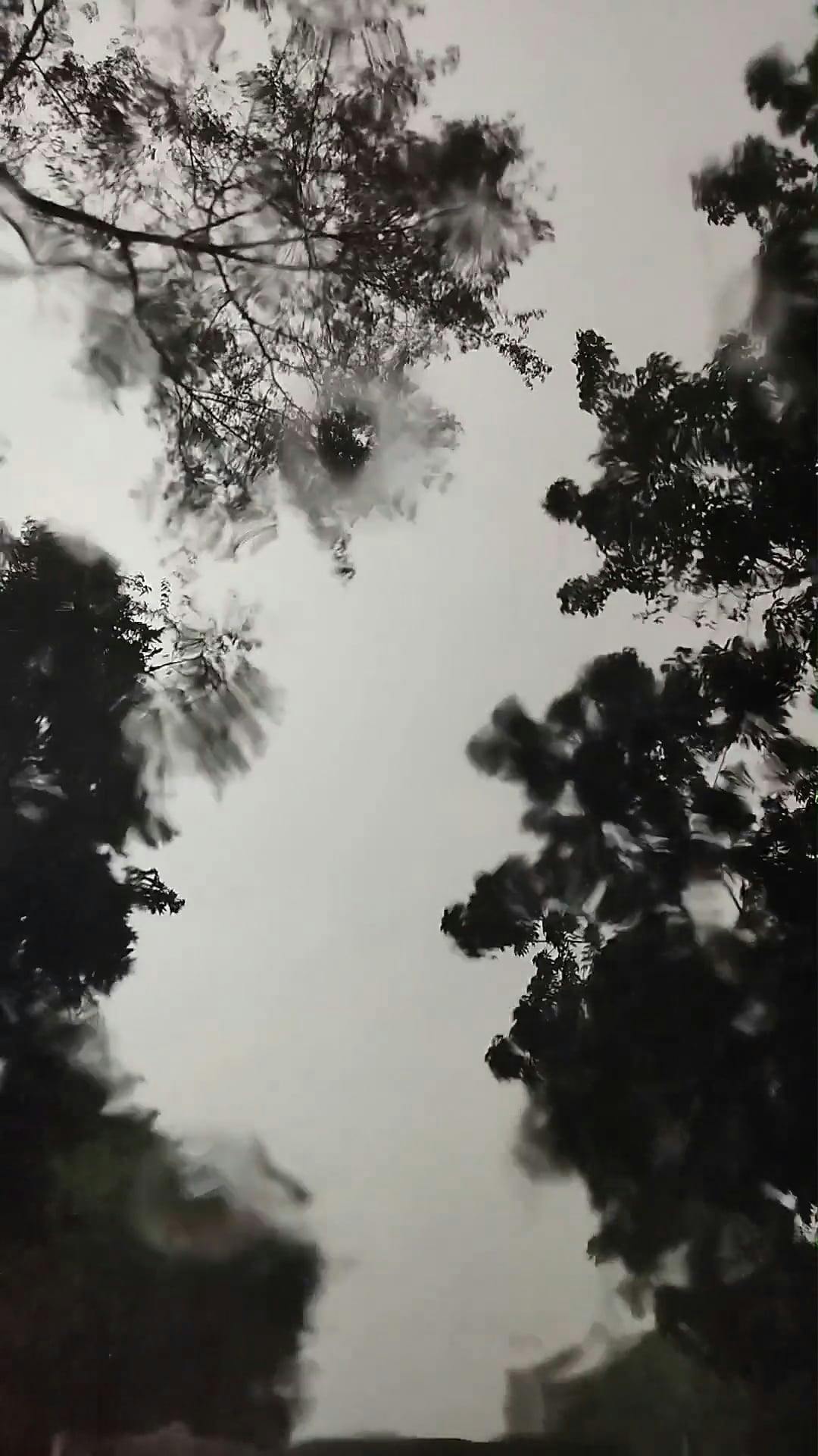 Raindrops falling into puddle Free Stock Video Footage, Royalty-Free 4K ...