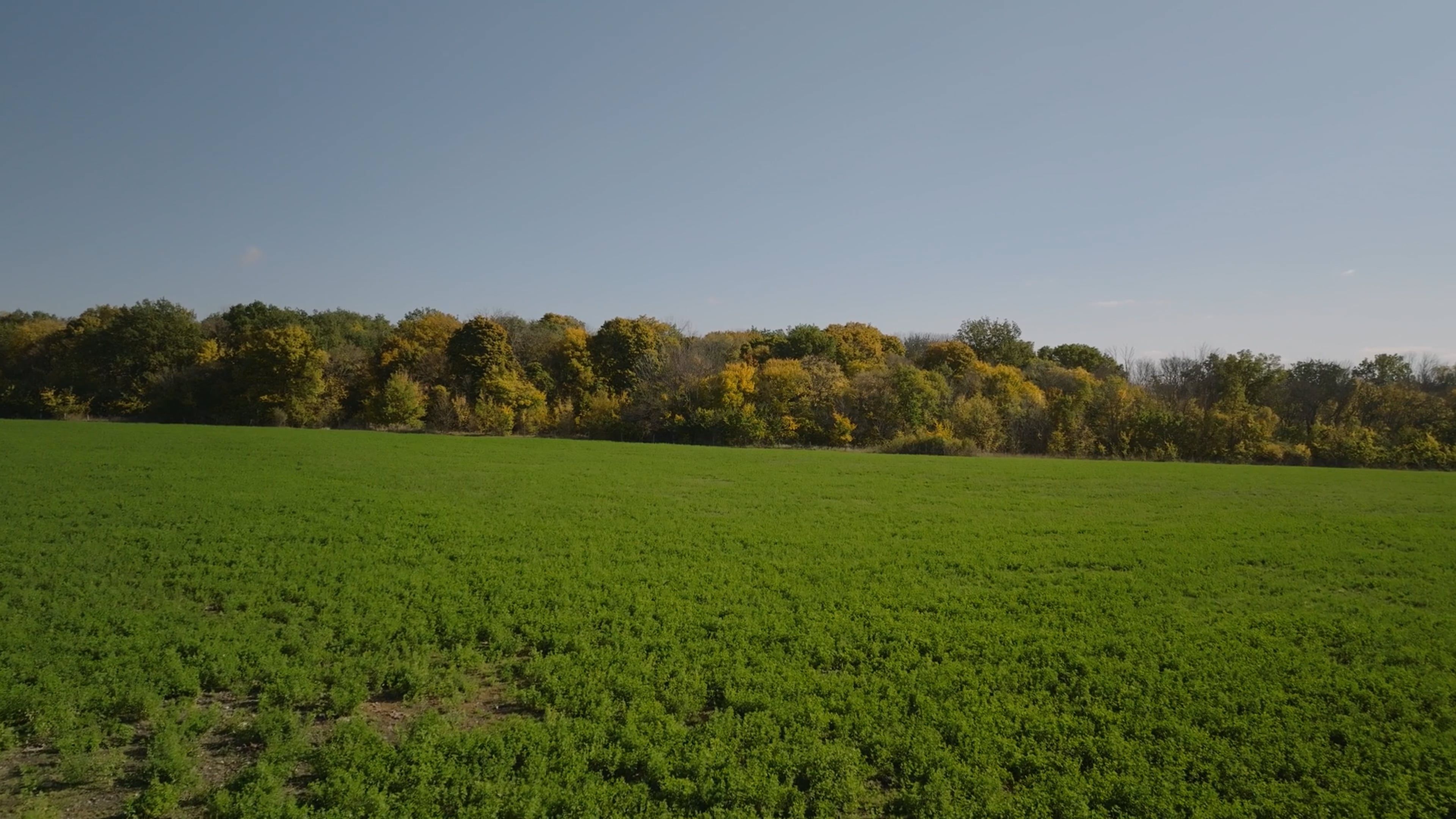 Vídeos de stock gratuitos sobre agricultura, al aire libre, arboles ...