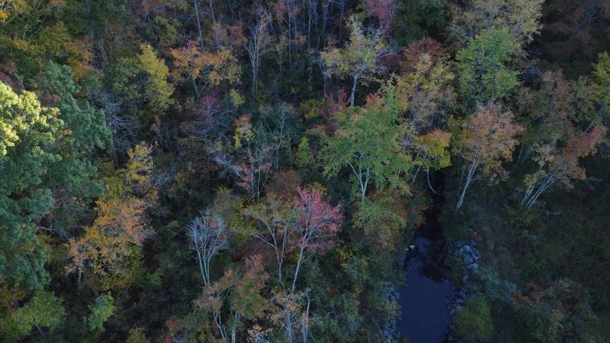 4k 3840x2160 Videos, Download Free 4k Stock Video Footage & 4k ...