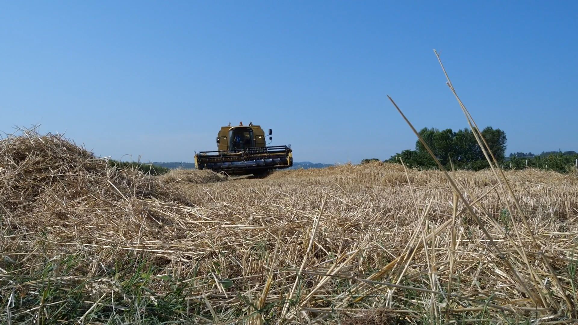 Time Lapse Video Of A Combine Harvester Free Stock Video Footage ...