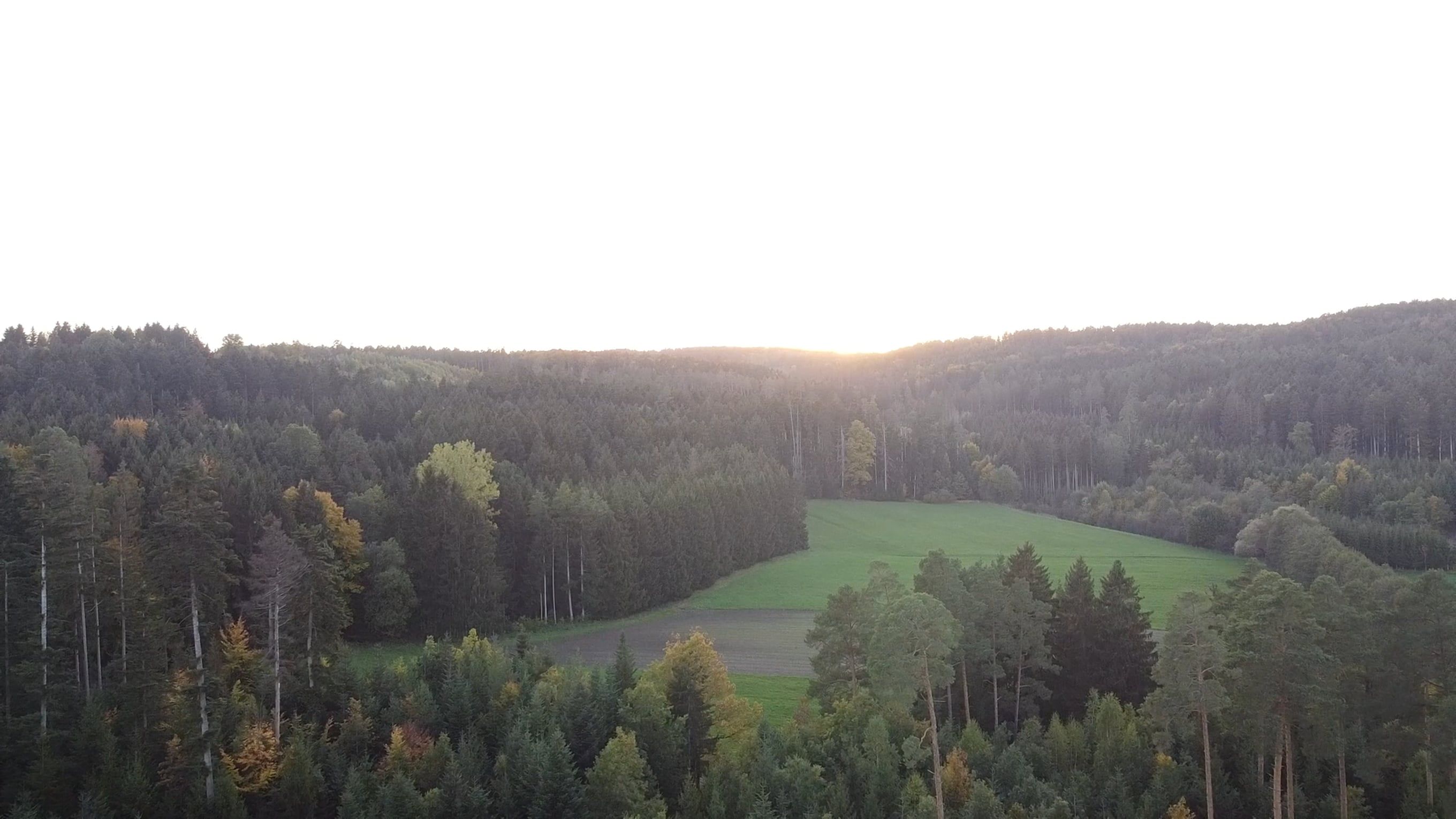 Drone Footage of Green Fields and Forest Trees at Sunset Free Stock ...