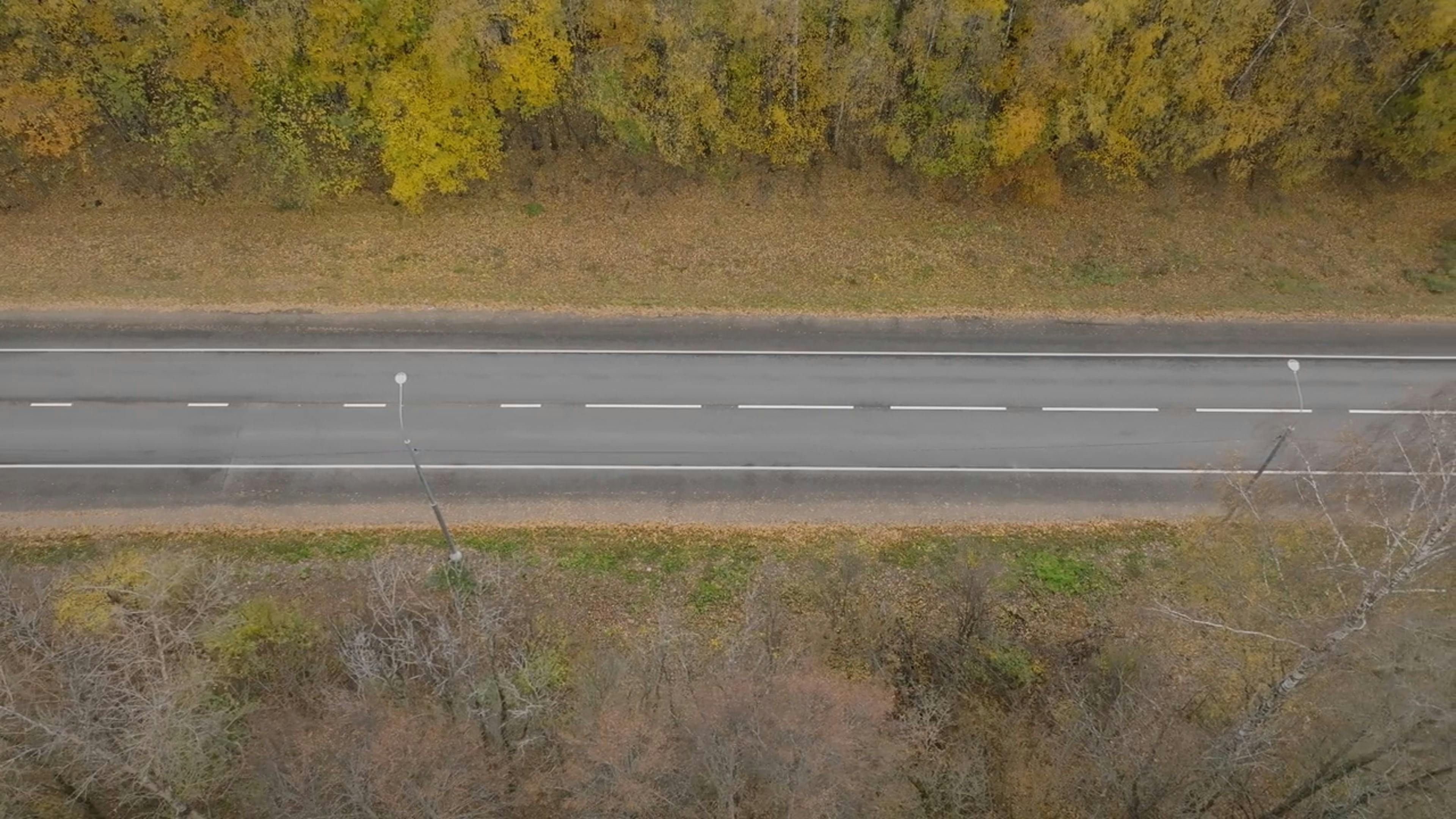 Drone View of a Road with Autumn Trees on the Sides Free Stock Video ...