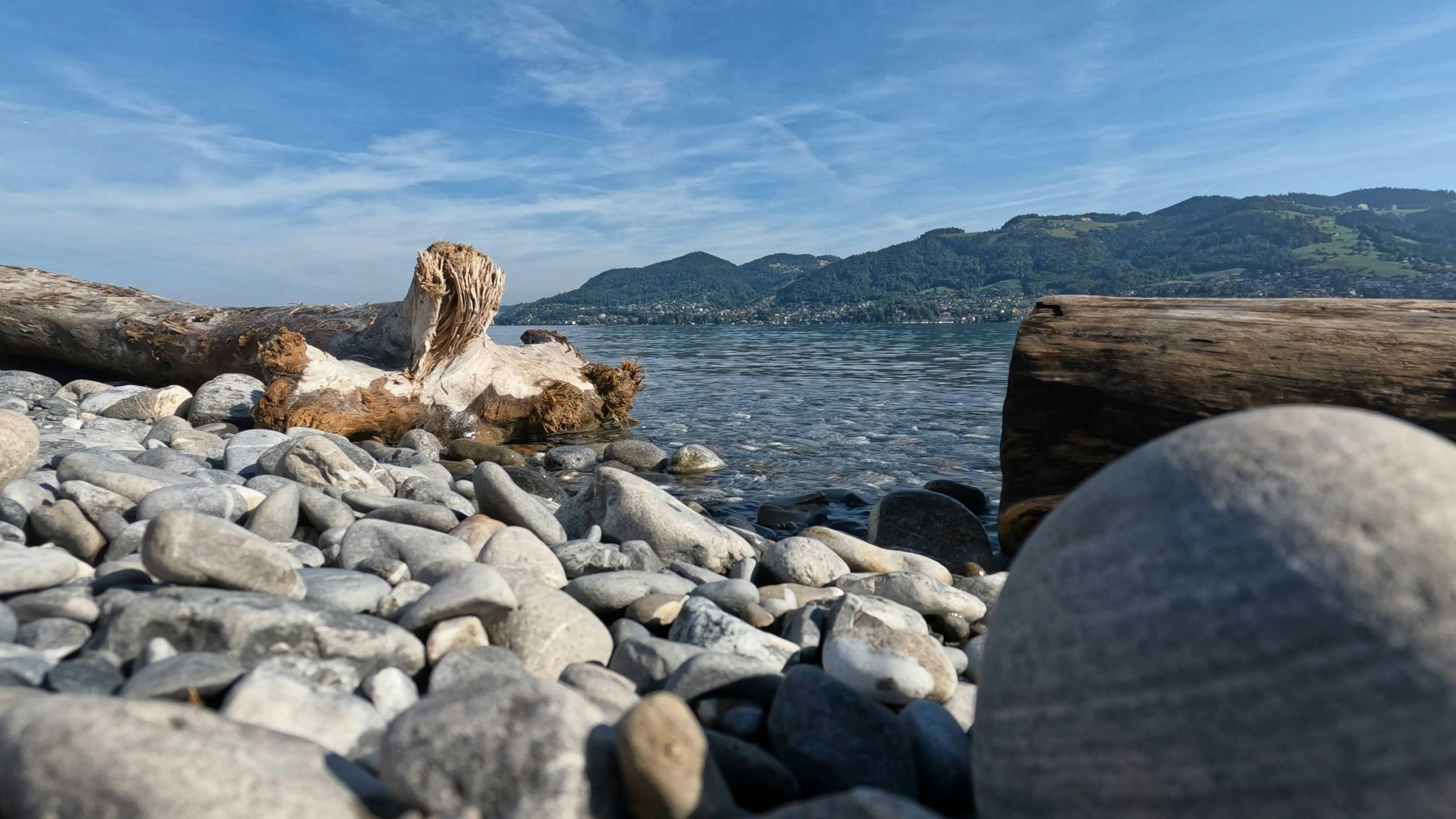 Stones and Wooden Logs on the Shore Free Stock Video Footage, Royalty ...