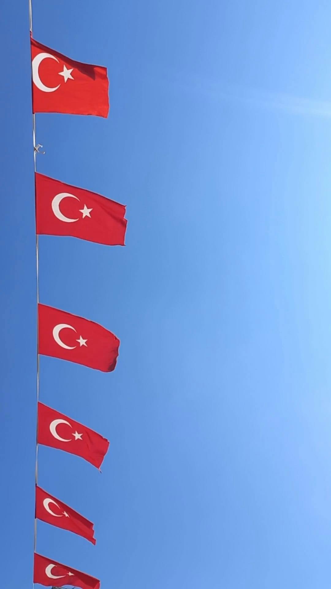 Flags Hanging on the Tree Branch Free Stock Video Footage, Royalty-Free ...