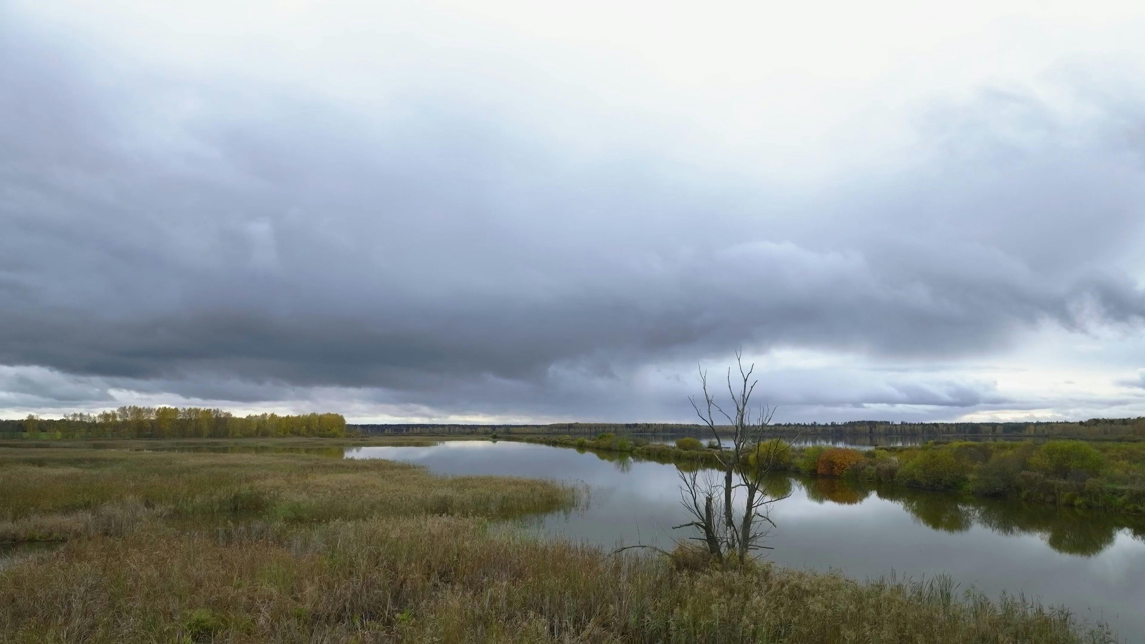 Ücretsiz 4k, açık hava, arazi, bakir bölge, barışçıl, bataklık, berrak ...