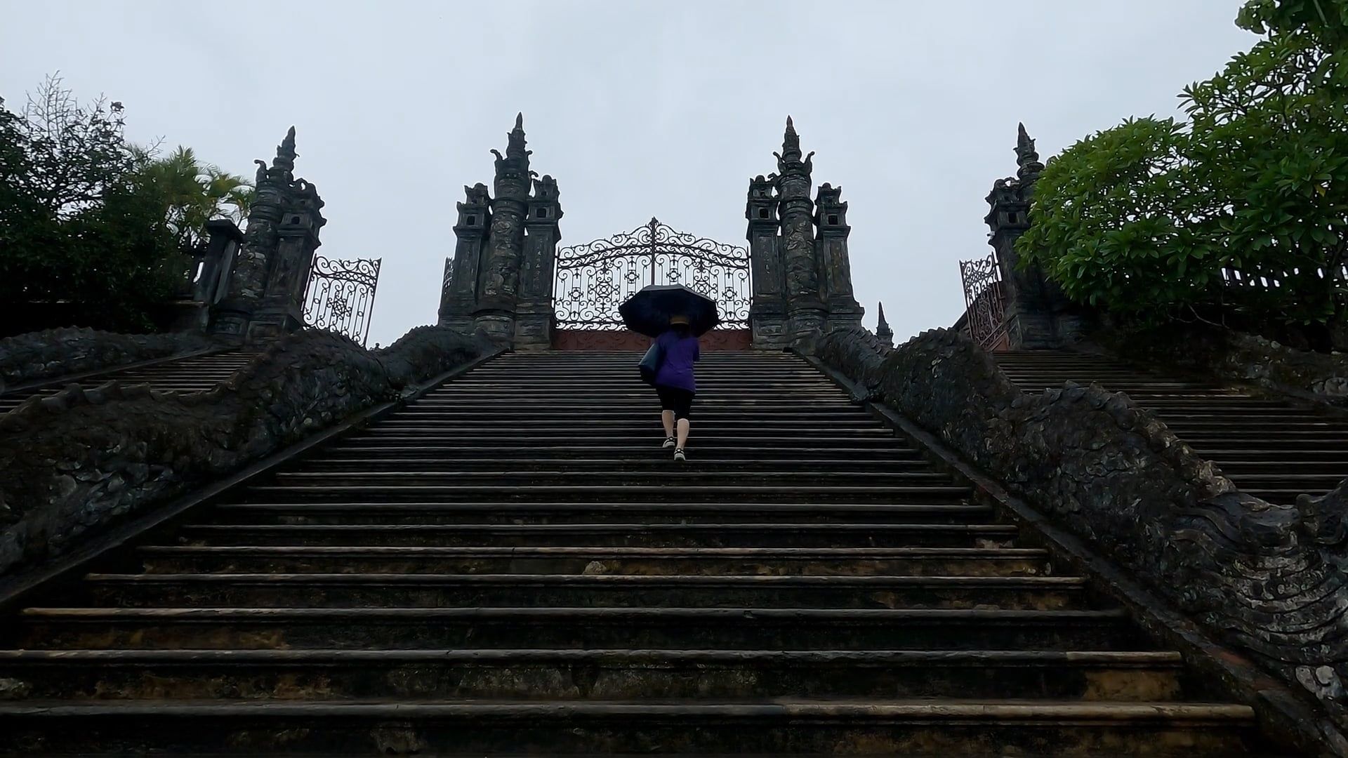 Purppura Ung Videos, Download The BEST Free 4k Stock Video Footage ...