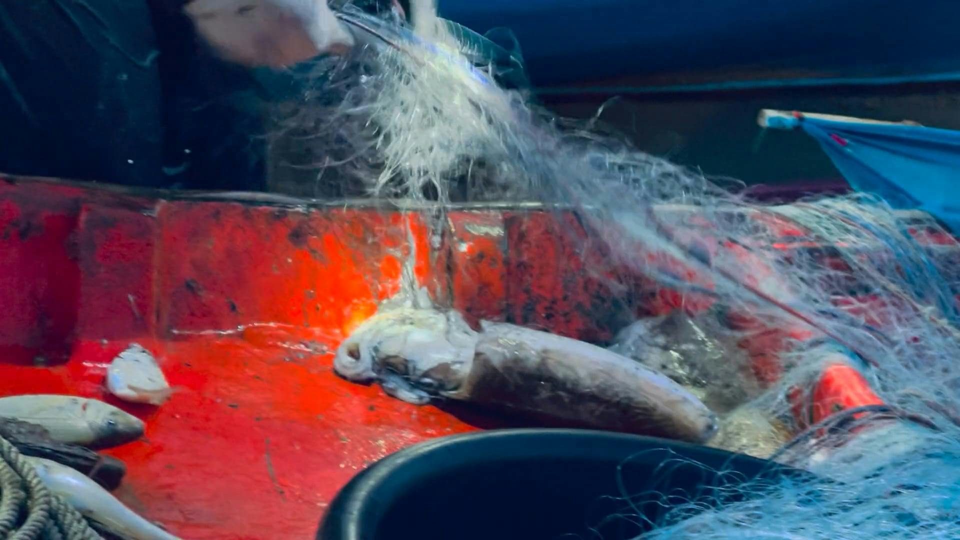 Tangled Mess Videos, Download The BEST Free 4k Stock Video Footage ...