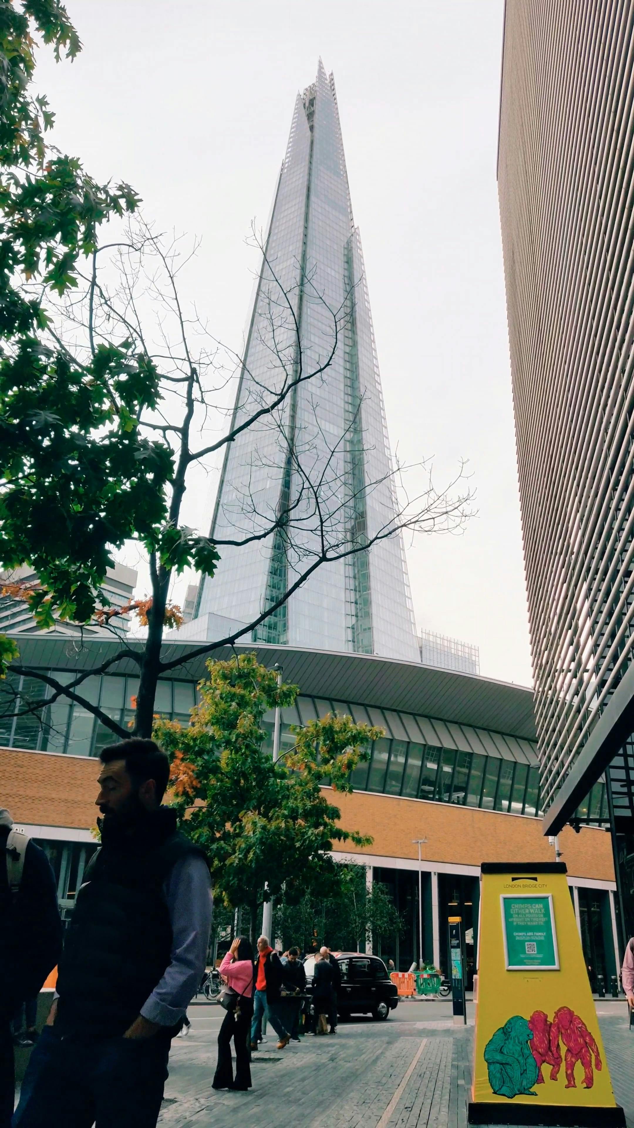 Skyscraper Frame Videos, Download The BEST Free 4k Stock Video Footage ...