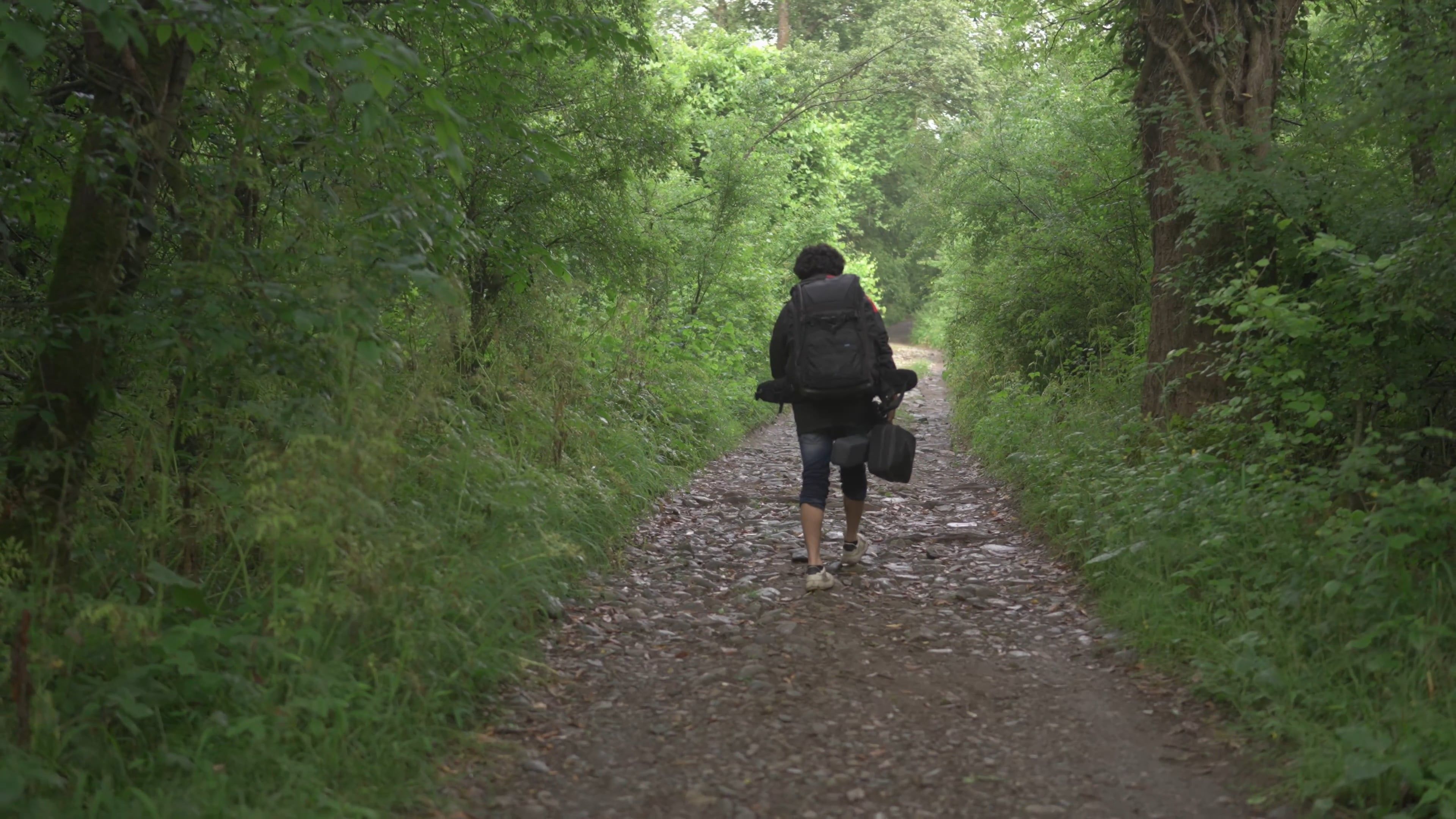 A Man Walking Free Stock Video Footage, Royalty-Free 4K & HD Video Clip