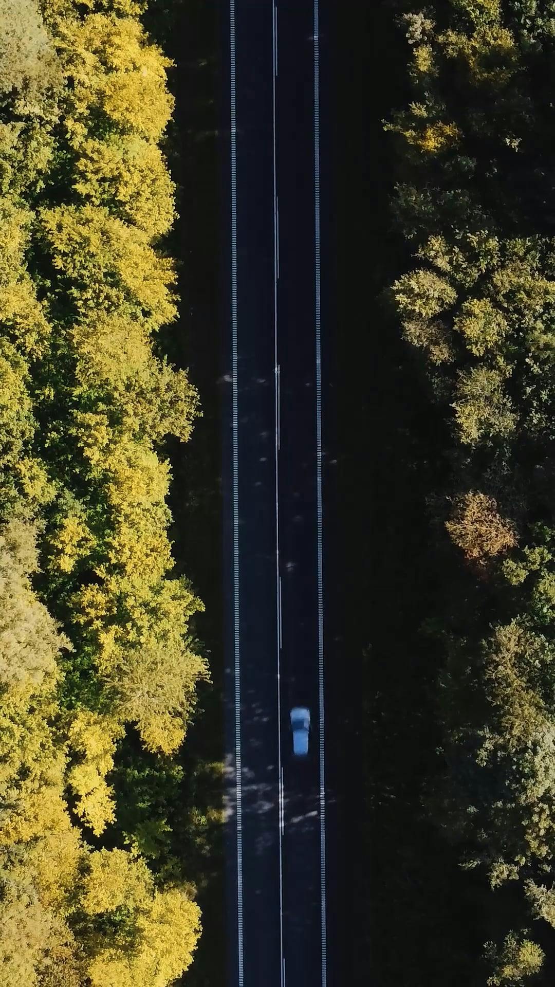 4k Videos Videos, Download Free 4k Stock Video Footage & 4k Videos HD ...