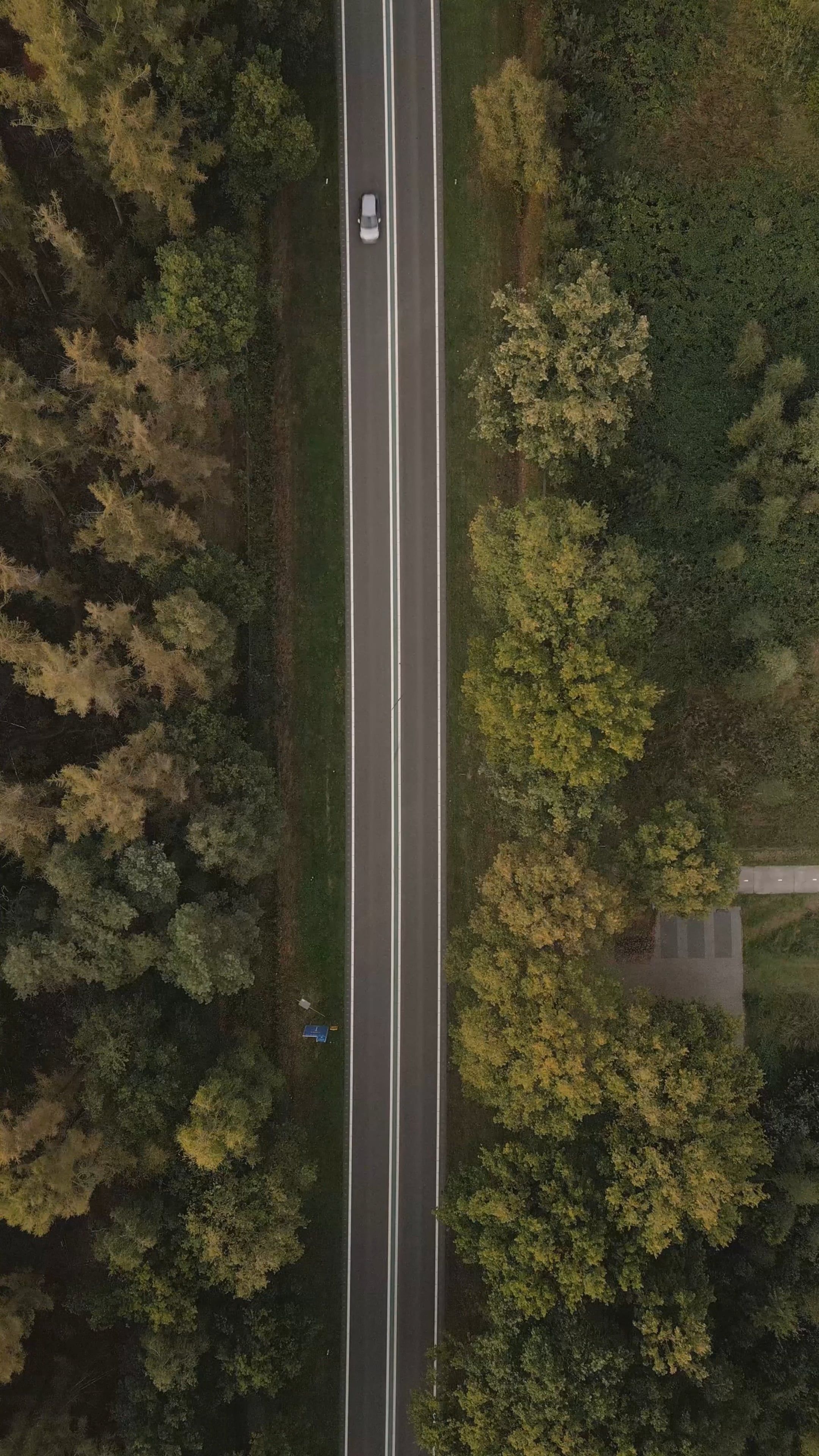 Cars on Road Free Stock Video Footage, Royalty-Free 4K & HD Video Clip