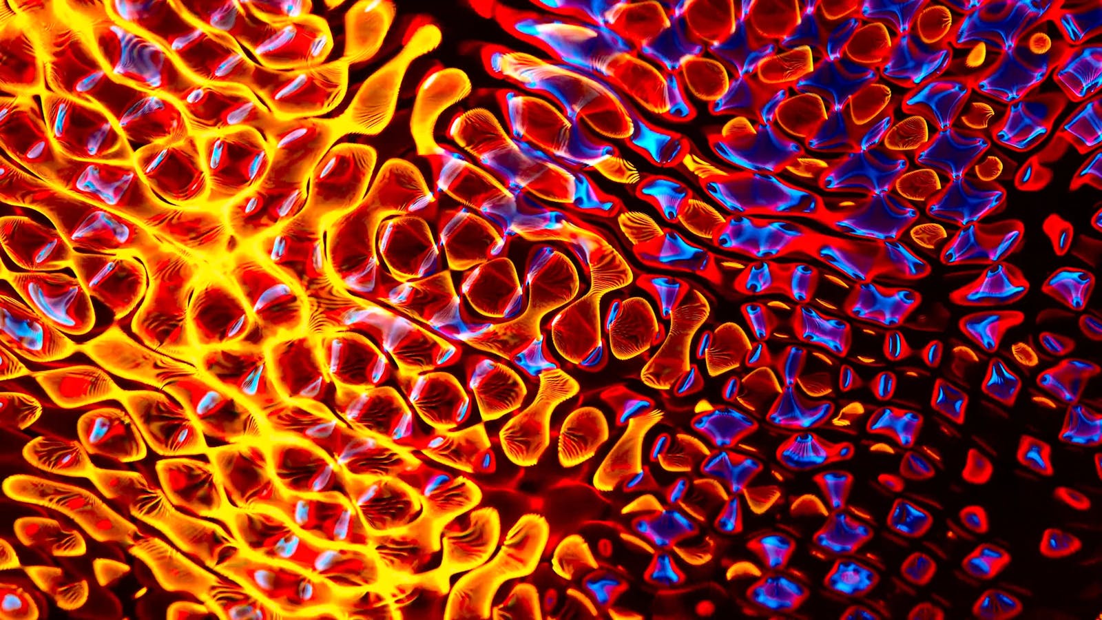 Plant Cell Animation Videos, Download The BEST Free 4k Stock Video ...