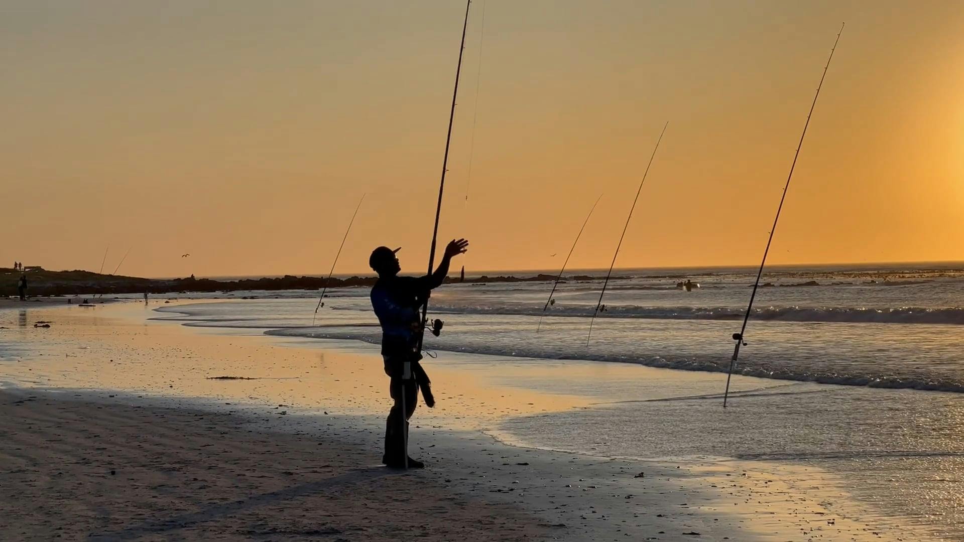 Fisherman on Beach at Sunset Free Stock Video Footage, Royalty-Free 4K ...