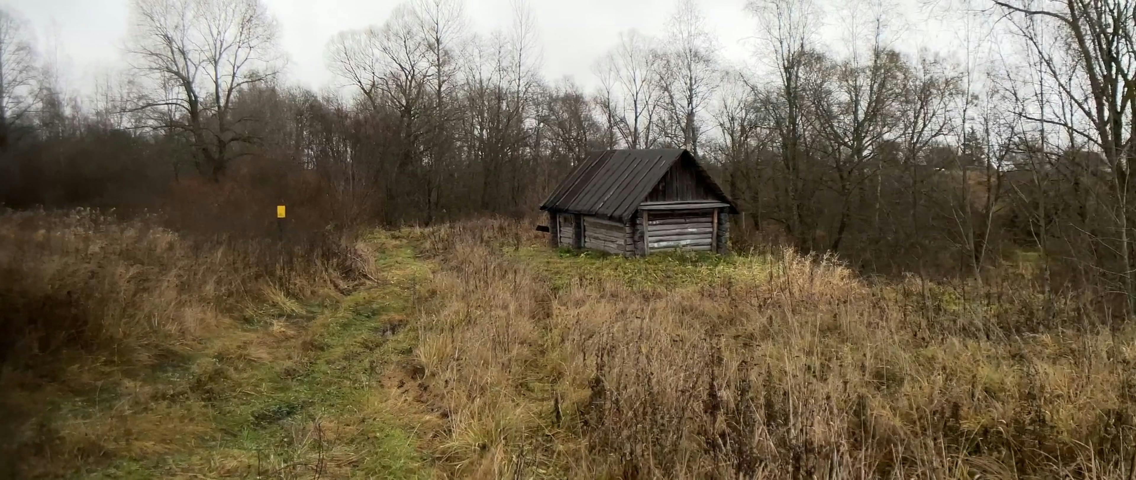 Bush Shed Videos, Download The BEST Free 4k Stock Video Footage & Bush ...