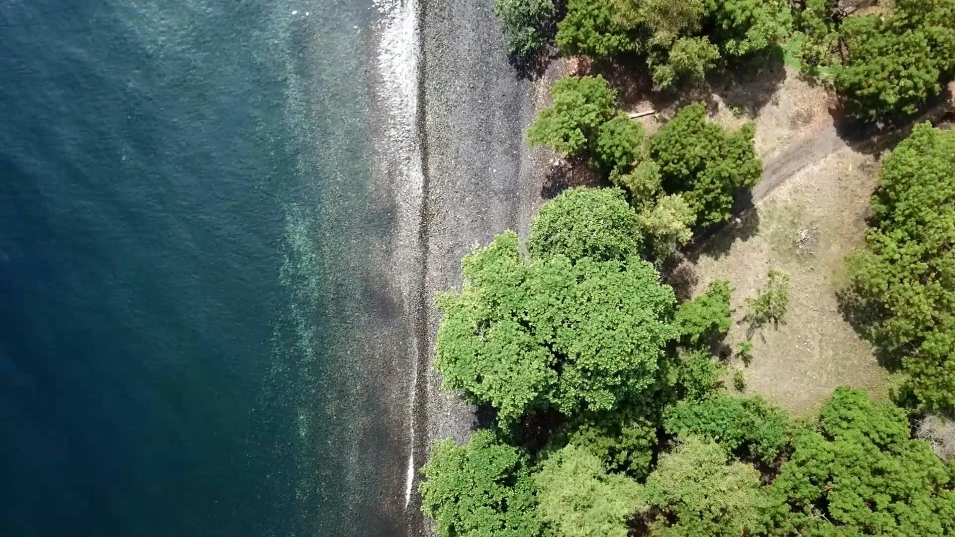 Ocean Waves in Overhead View Free Stock Video Footage, Royalty-Free 4K ...