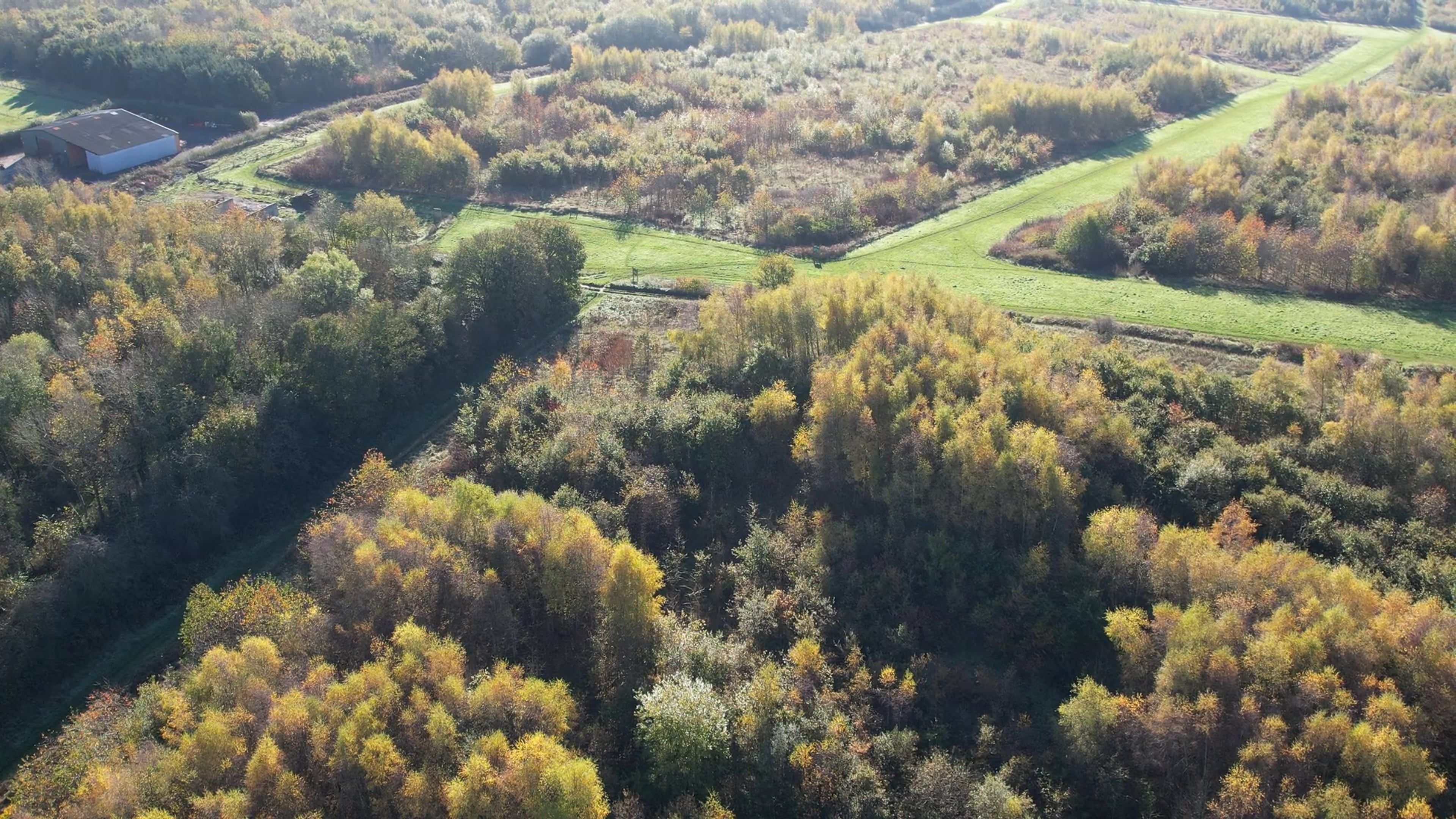Forester Path Videos Download The Best Free 4k Stock Video Footage