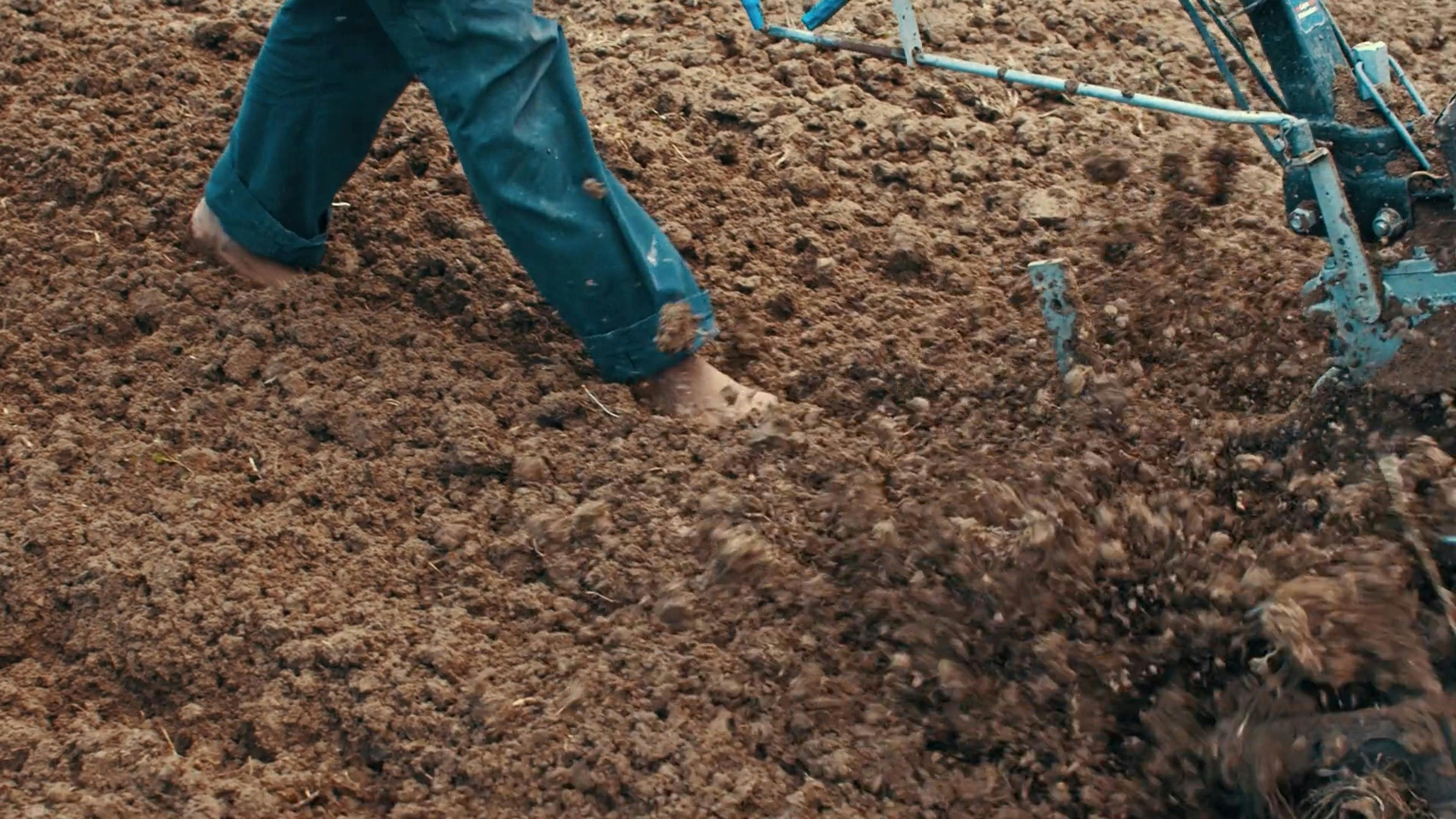 Soil Planning Videos, Download Free 4k Stock Video Footage & Soil ...