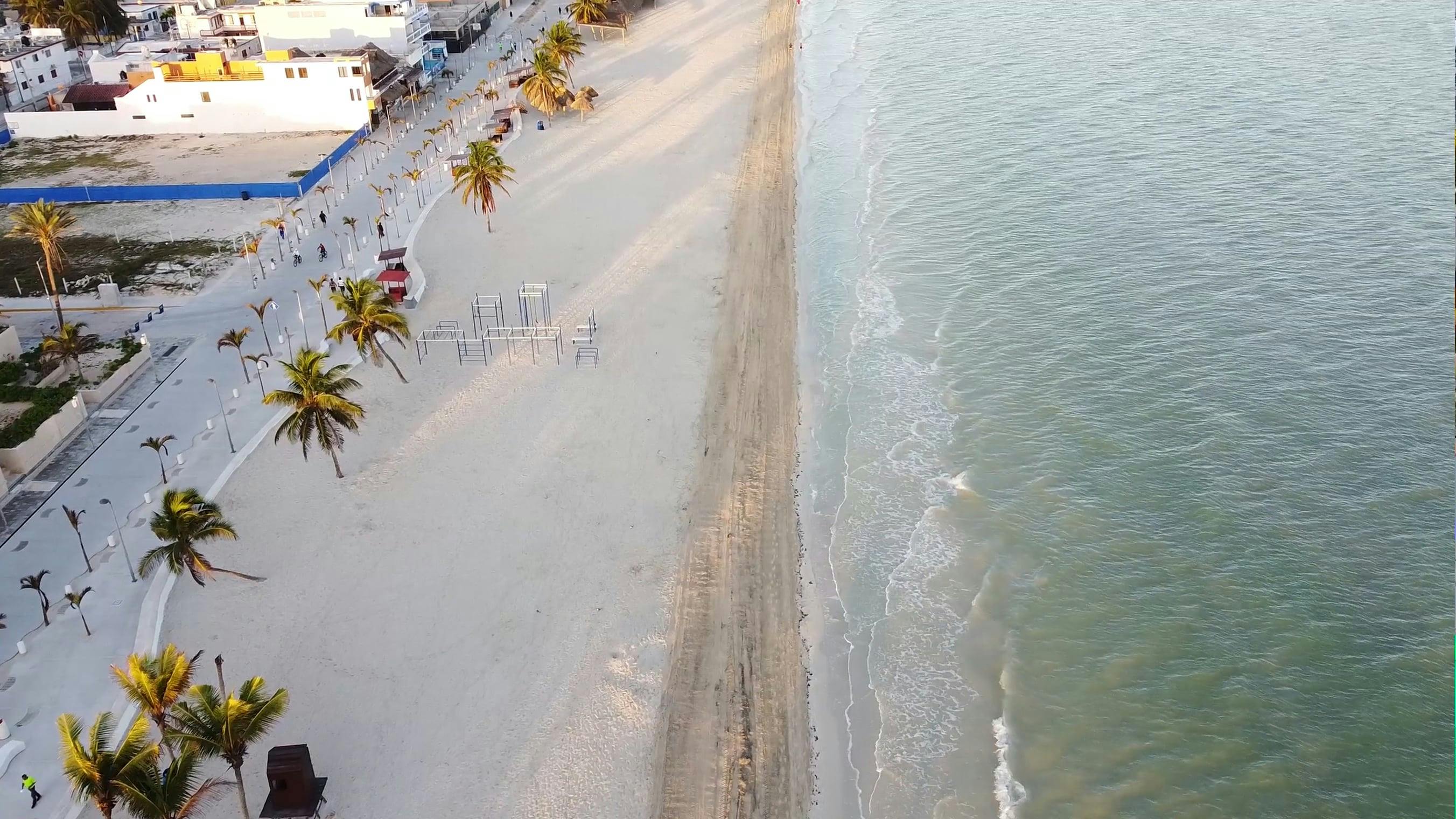 Drone Footage of a Beach Free Stock Video Footage, Royalty-Free 4K & HD ...