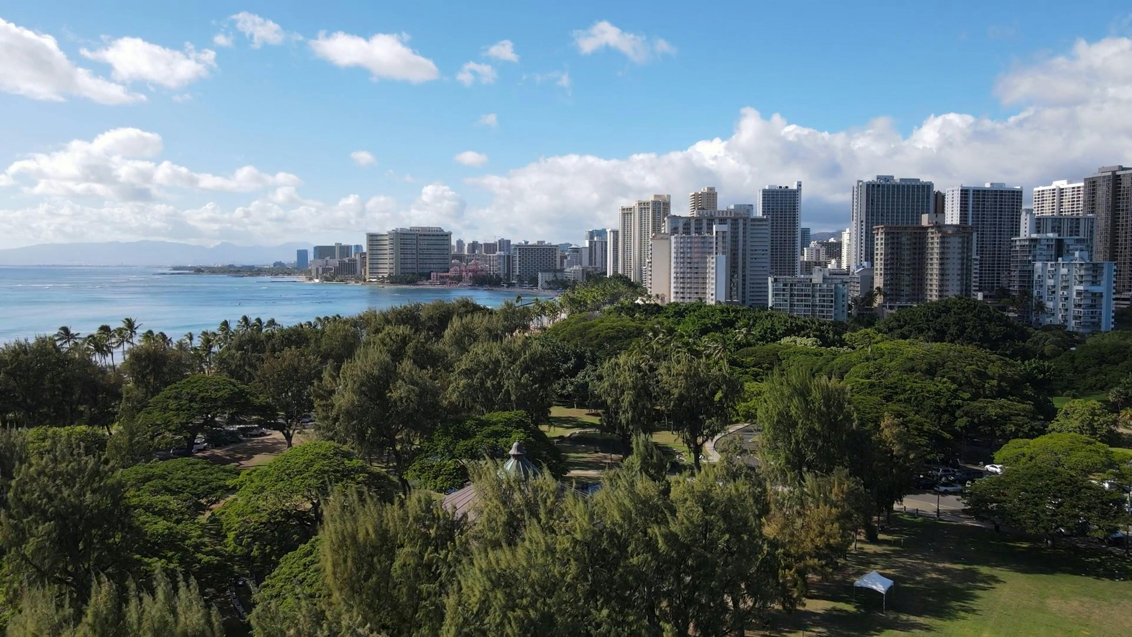Honolulu Park Videos, Download The BEST Free 4k Stock Video Footage ...