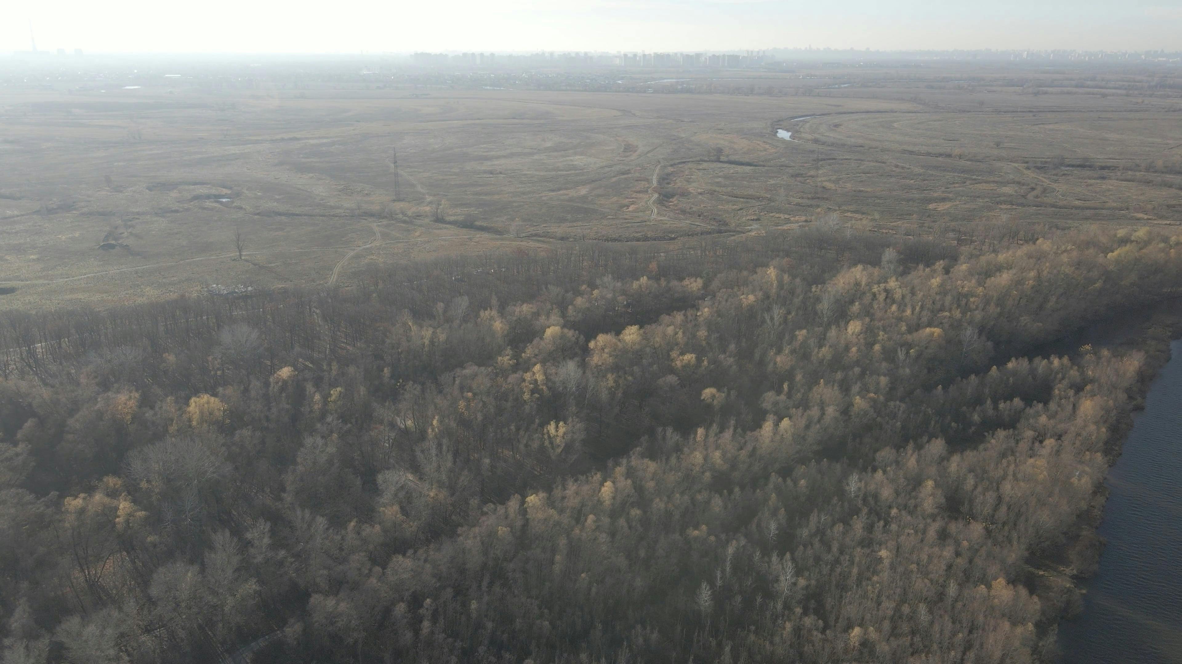 Aerial View of 4x4 Vehicles Parked in a Forest Free Stock Video Footage ...