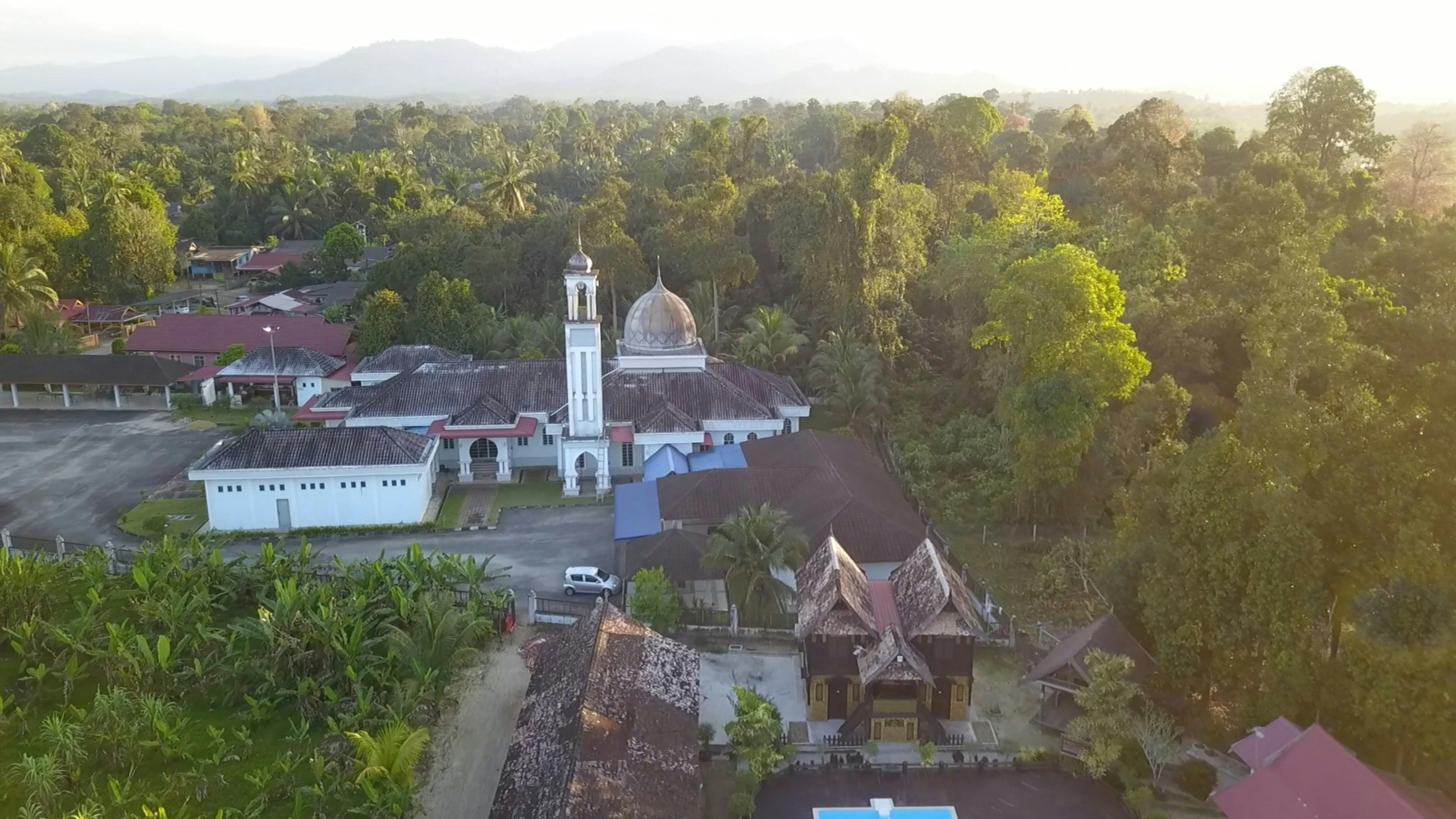 Temple and Rainforest Free Stock Video Footage, Royalty-Free 4K & HD ...