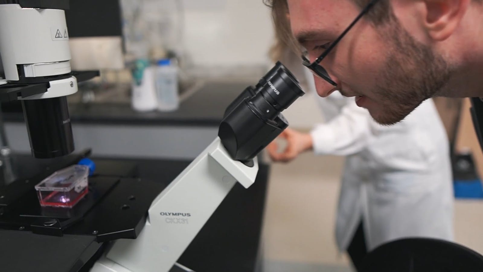 Stem Cell Videos, Download The BEST Free 4k Stock Video Footage & Stem ...