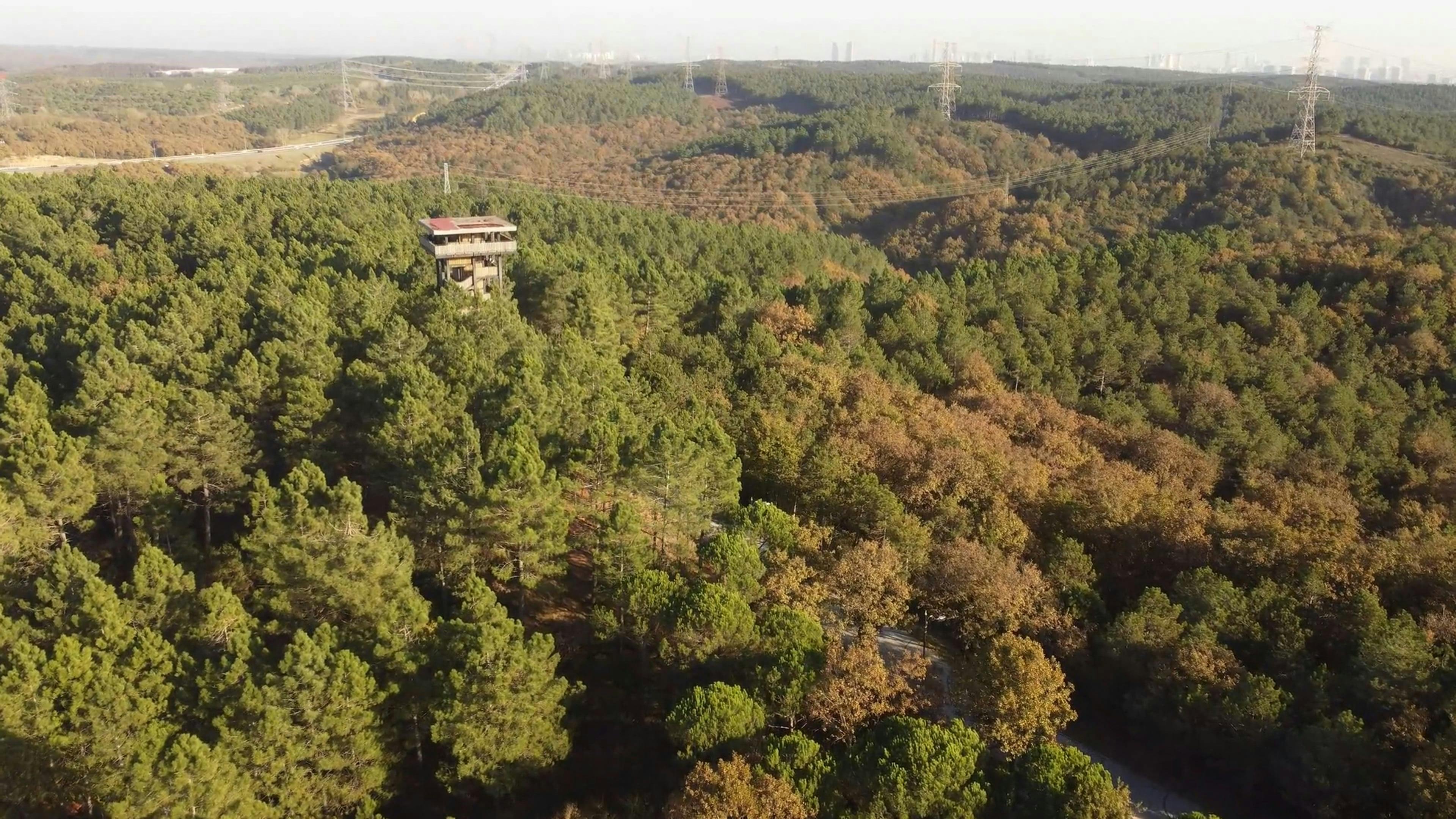 Tower in Forest Free Stock Video Footage, Royalty-Free 4K & HD Video Clip