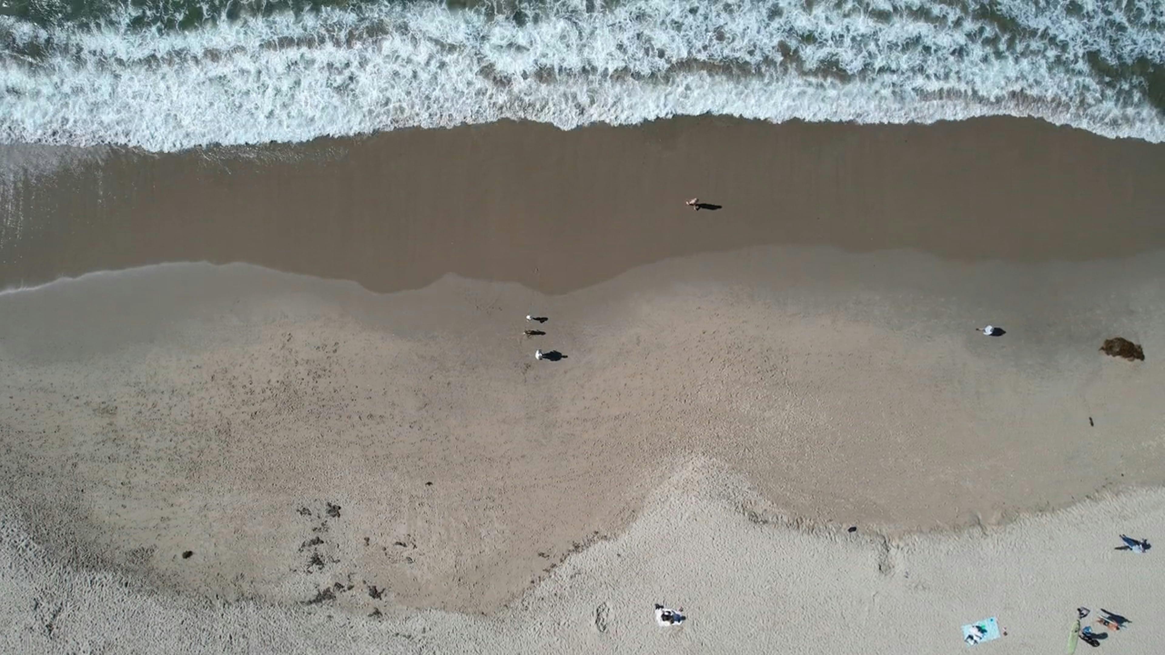 Venice Beach and Ocean in Overhead View Free Stock Video Footage ...