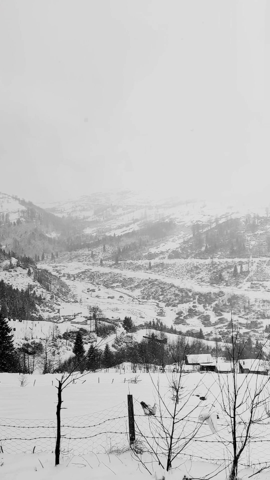 Snow Falling in Valley Free Stock Video Footage, Royalty-Free 4K & HD ...