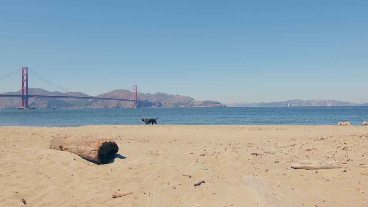 Golden Gate Bridge Videos, Download The BEST Free 4k Stock Video ...