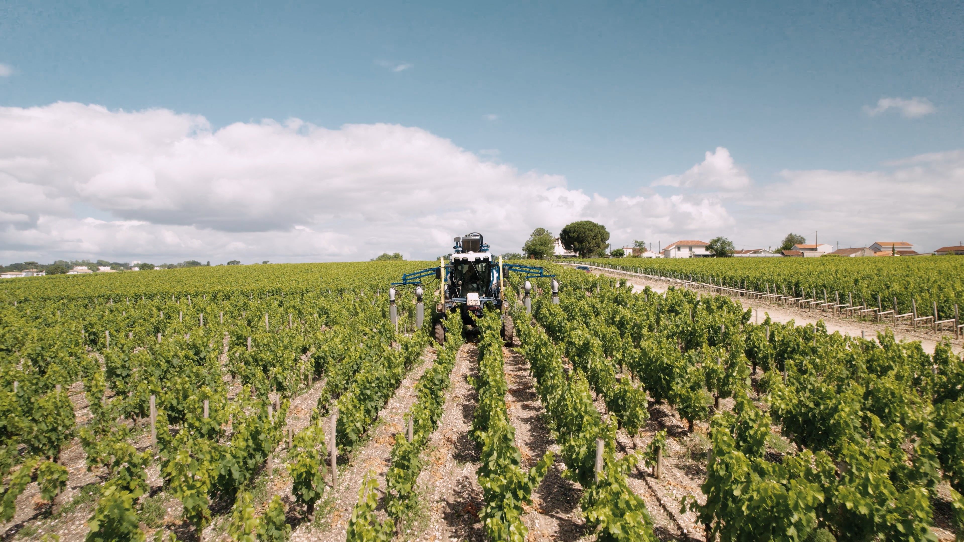 Vineyard Management Videos, Download The BEST Free 4k Stock Video ...