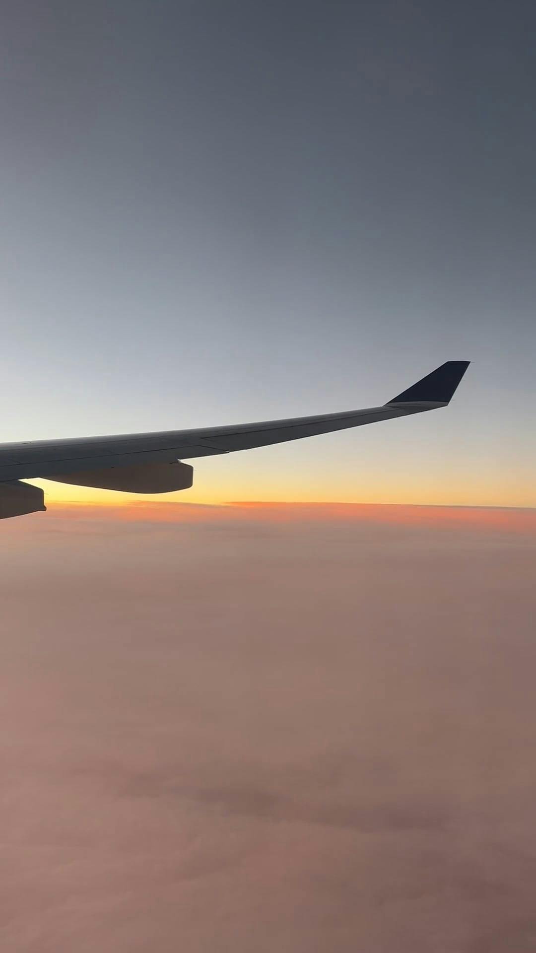 A Person Touching the Window in the Airplane Free Stock Video Footage ...